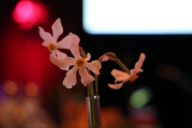 Narzissenfest 2024: Narzissenkönigin 2024 mit einem Herz für Kinder - Tennengau