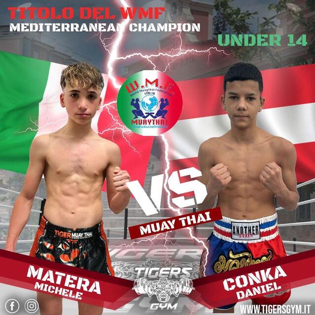 Kampfsportspektakel: Elfter Star Fight Cup findet am 8. Juni in Enns ...