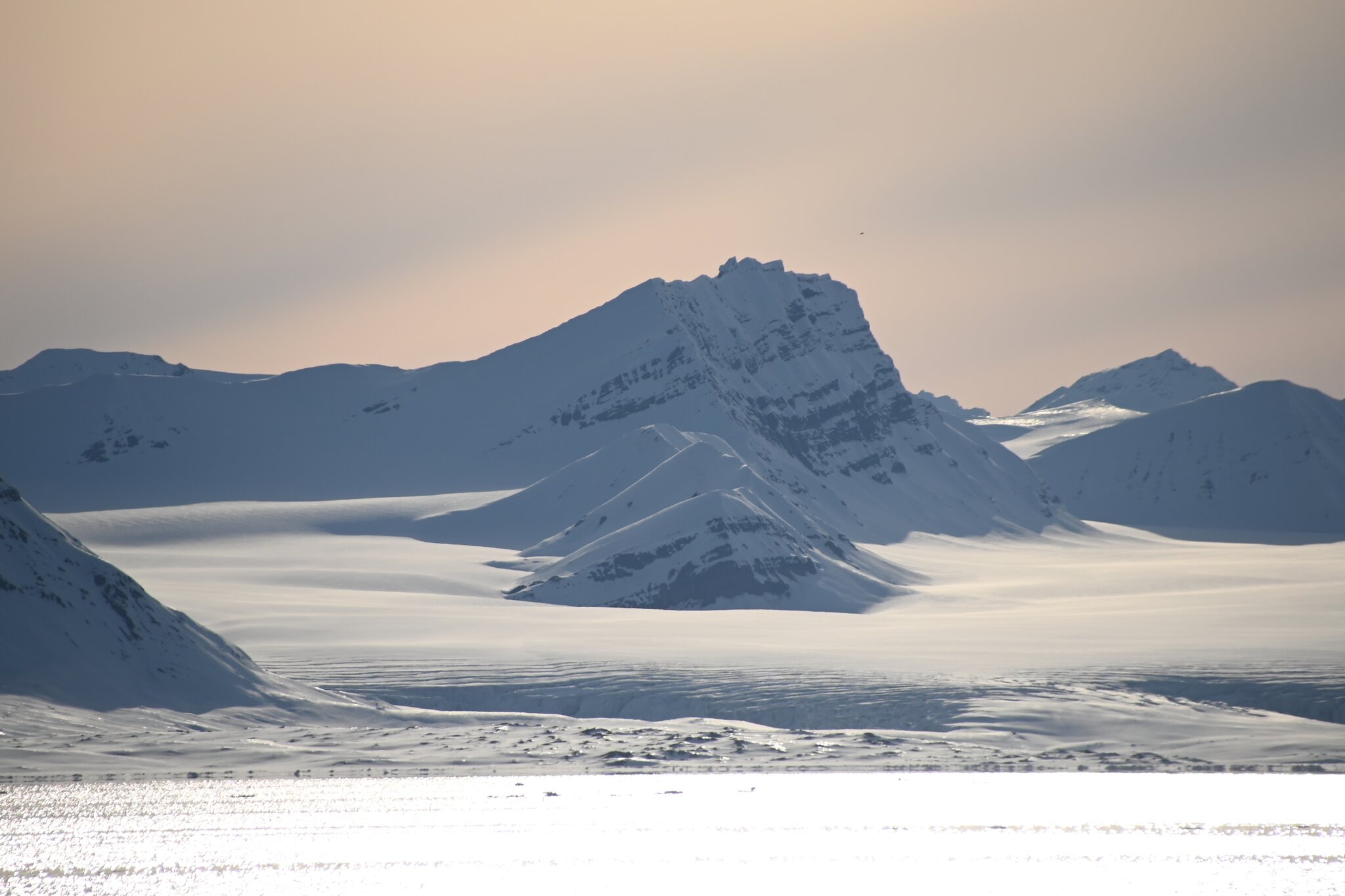 Reise Schiffsreise Urlaub: Highlights am Polarkreis in 65 Tagen ...