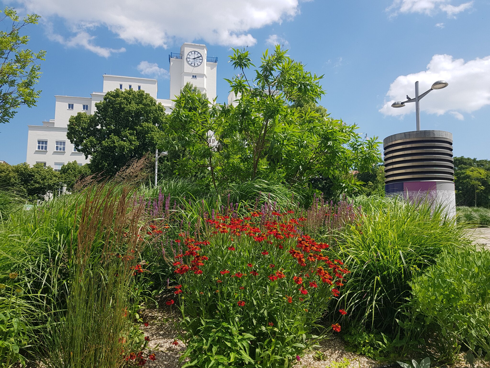 Wiener Spaziergänge: Mein Reumannplatz - Favoriten