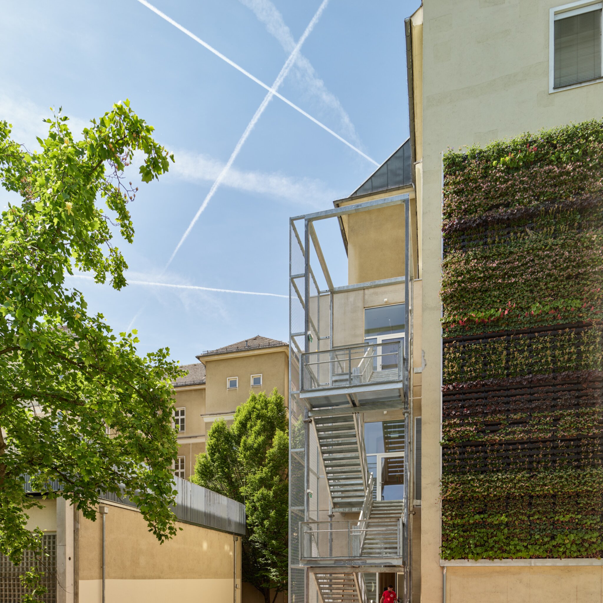 Fassaden begrünt: Neue Goetheschule verbessert das Stadtklima - Linz