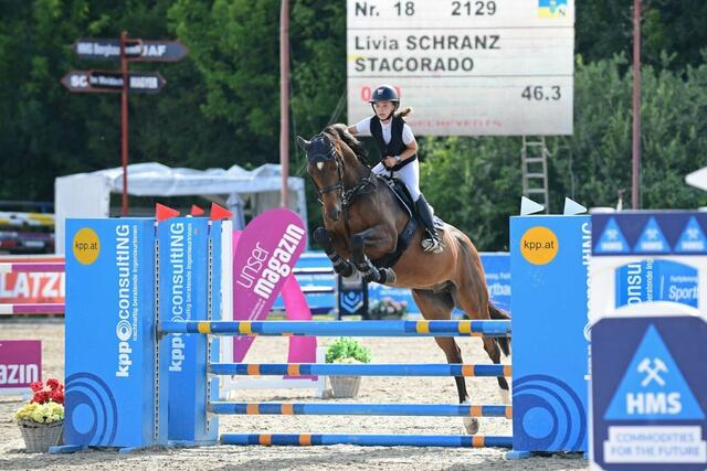 Springreiten - Thema auf meinbezirk.at - Seite 37