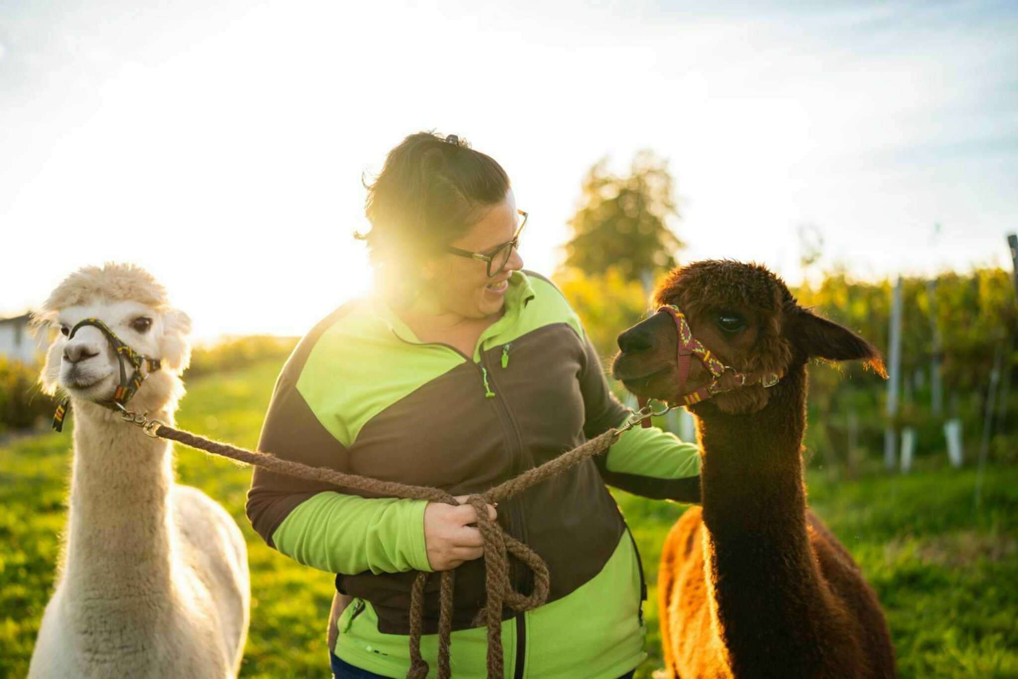 Wohlbefinden: Waldbaden mit Lamas - Feldkirchen
