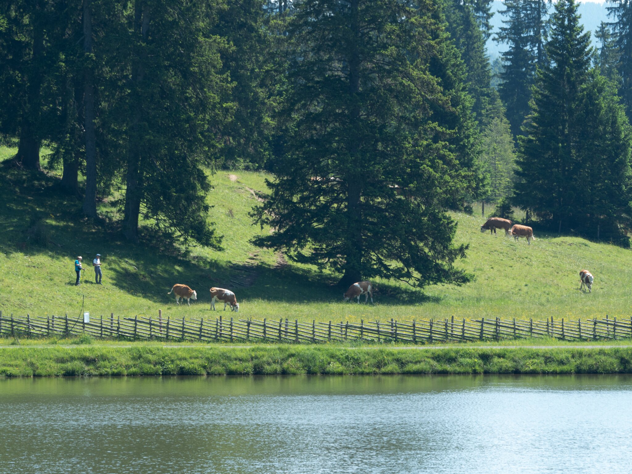 Teichalm Almenland: Teichalm - Teichalmsee Moor - Graz