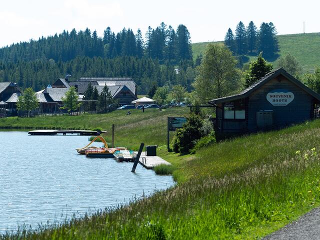 Teichalm Almenland: Teichalm - Teichalmsee Moor - Graz