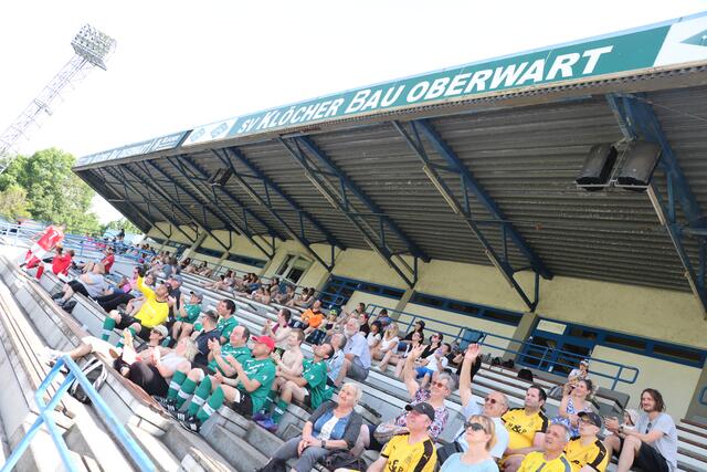 Special Olympics Burgenland: UNIQA Panther Cup Süd in Oberwart - Burgenland