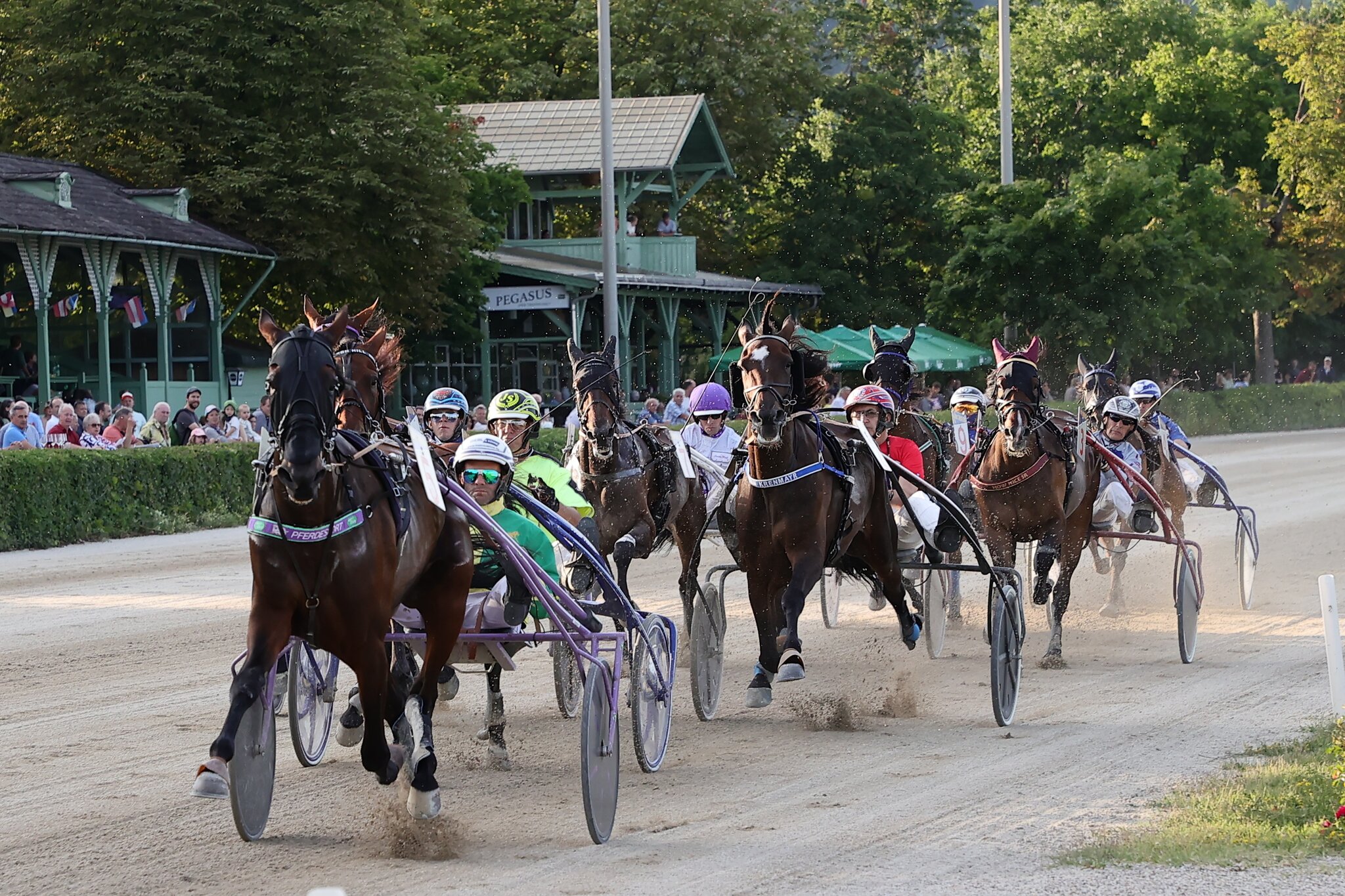 Renntag: Eröffnung der Traber Saison 2024 für Künstler helfen Künstlern ...