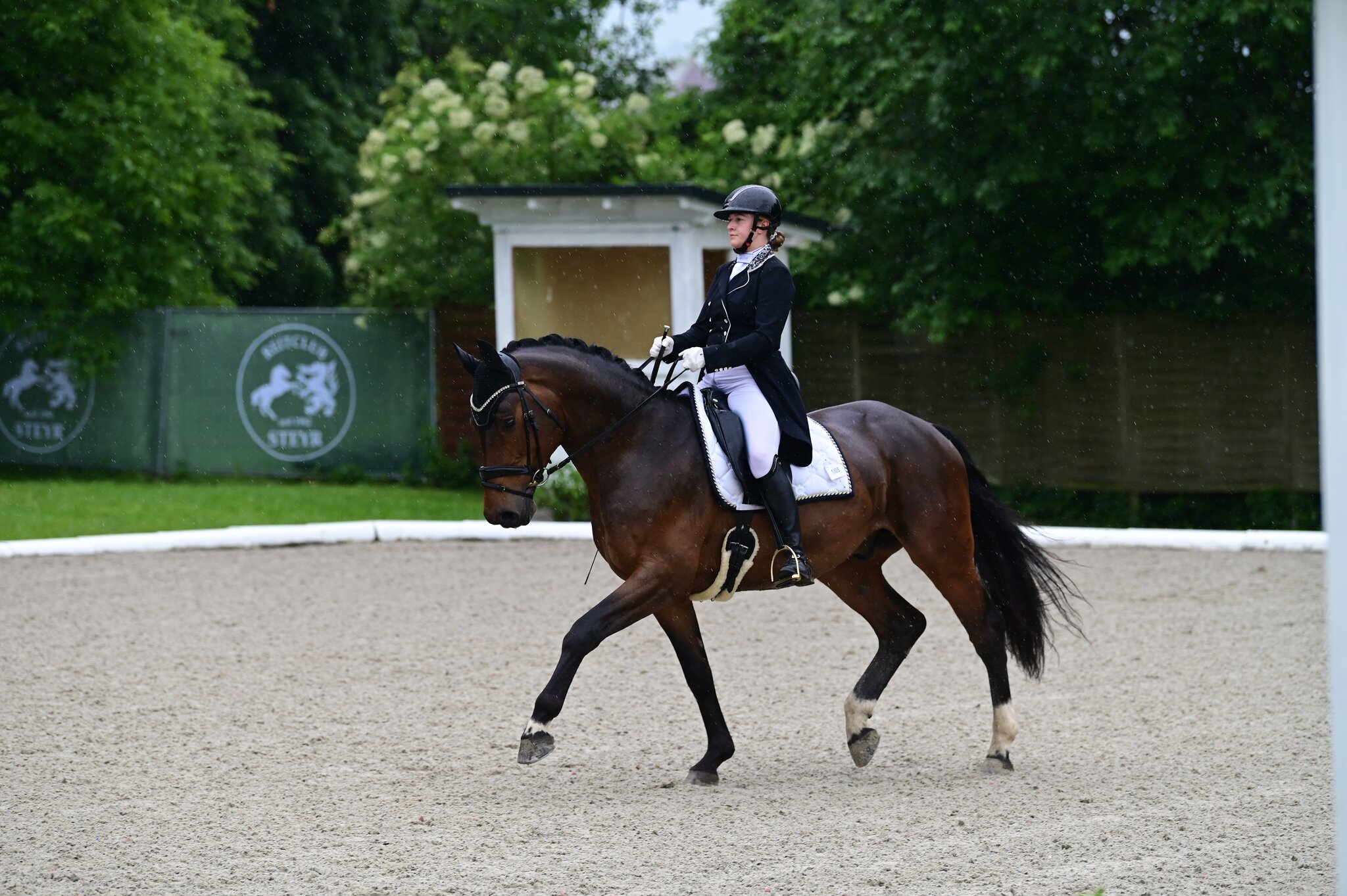 Dressursport: Grabner-Schwestern weiterhin auf Erfolgskurs - Salzkammergut