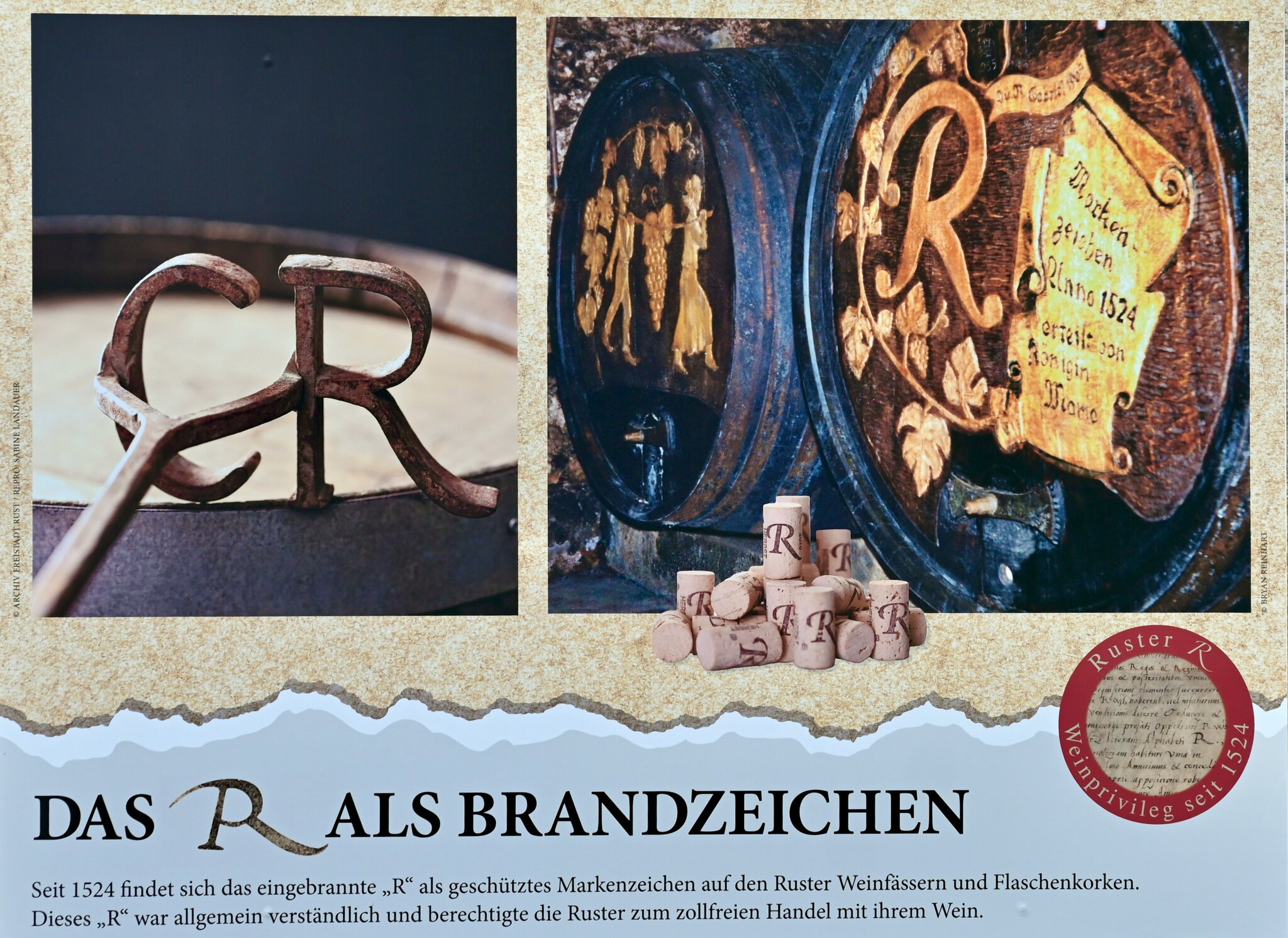 Bildergalerie: Eröffnung der Ausstellung - RUSTER R – WEINPRIVILEG SEIT ...