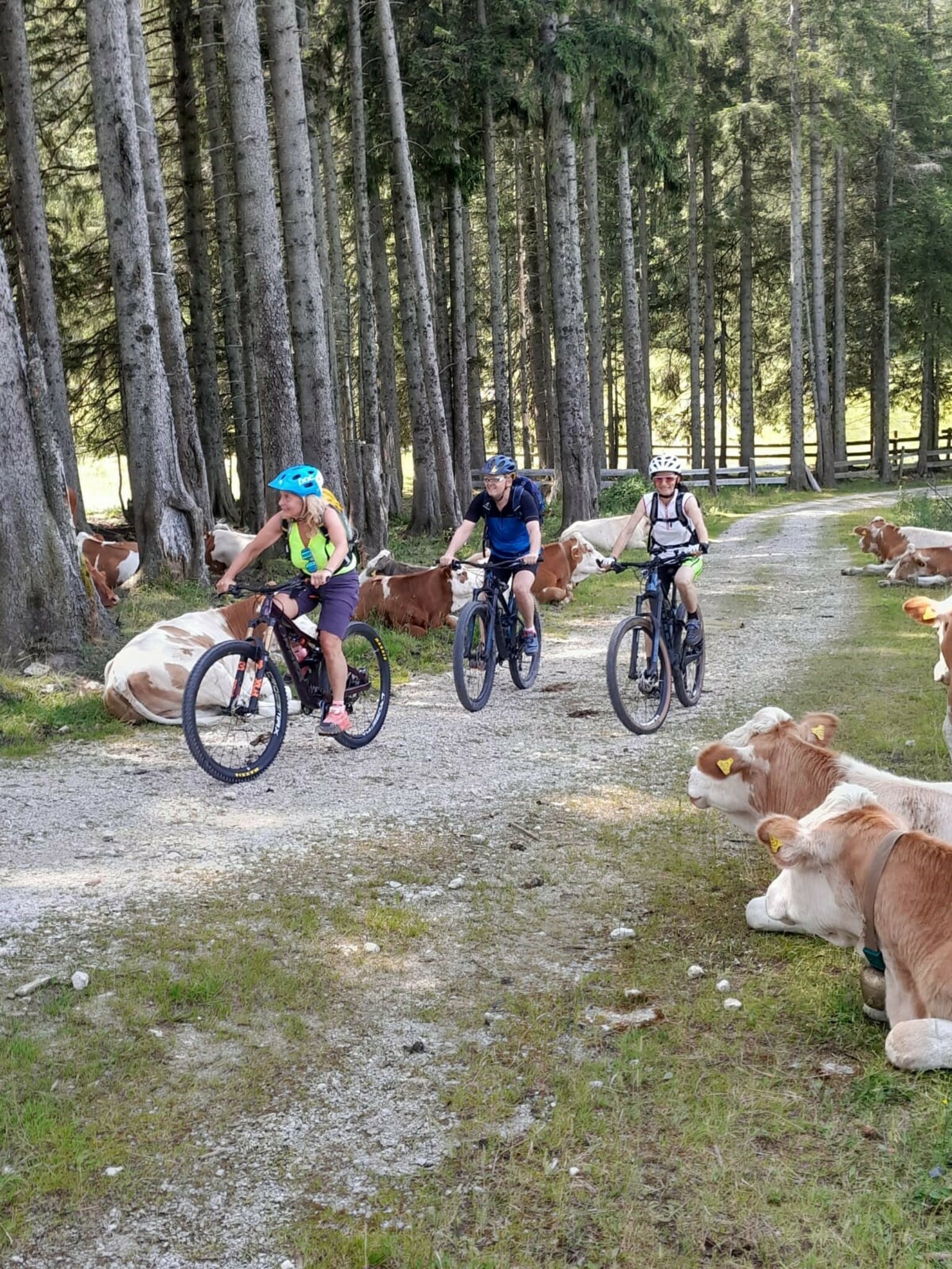 Alpenverein Neugablonz-Enns: Bike & Hike im Nationalpark Kalkalpen - Enns