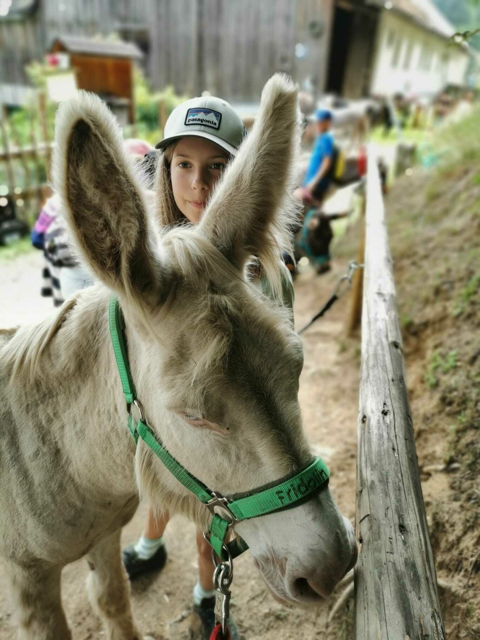 Ferienprogramm "SommerAktiv³: Mit dem Esel in der Natur wandern ...