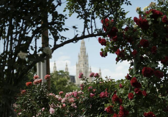 "Eigen-PR": Stadtzeitung "Mein Wien" steht unter Kritik von ÖVP Wien - Wien