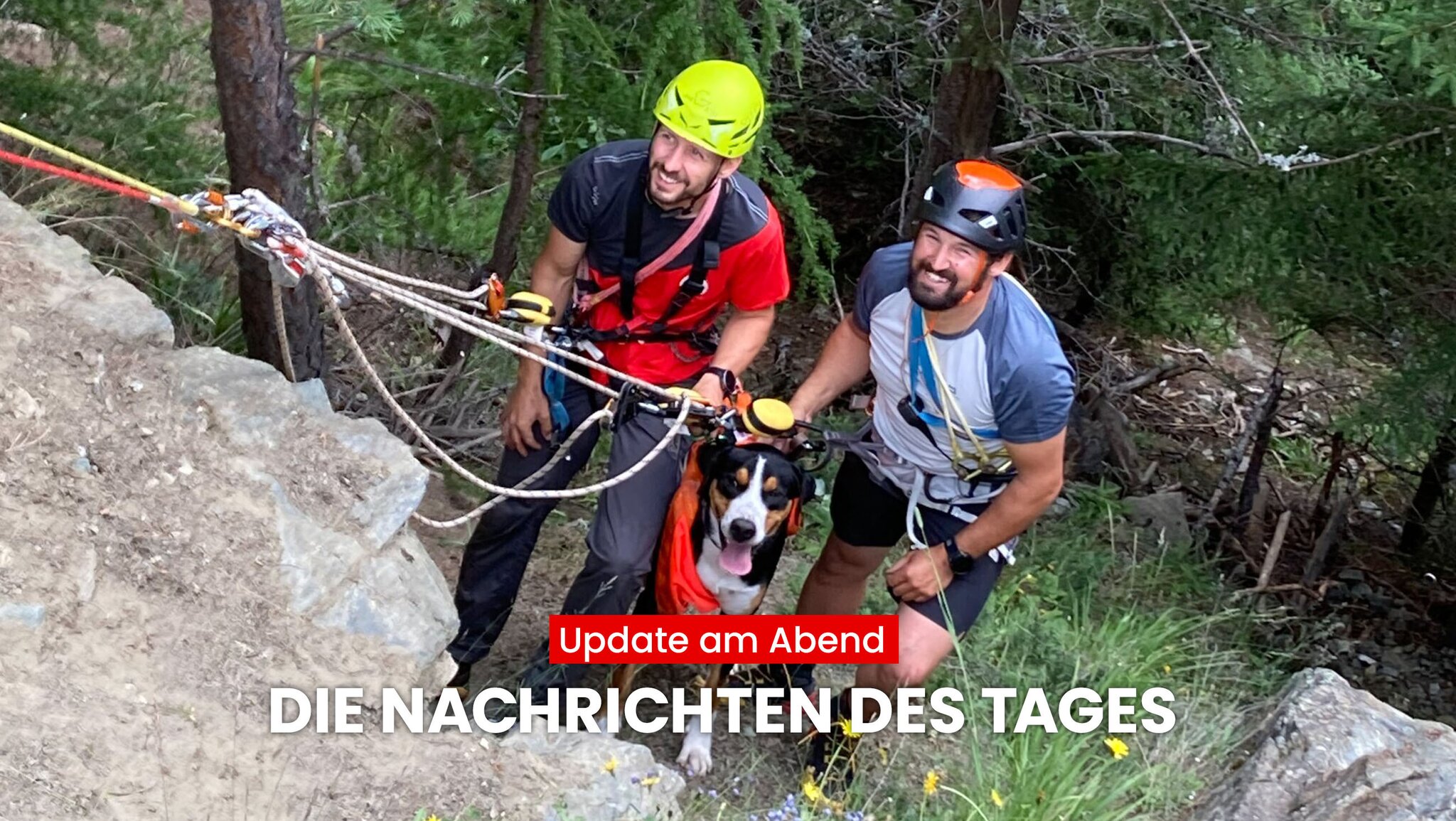 17. Juli: Therapiehund-Rettung, Fall Leon, Freizeitticket und LKW ...