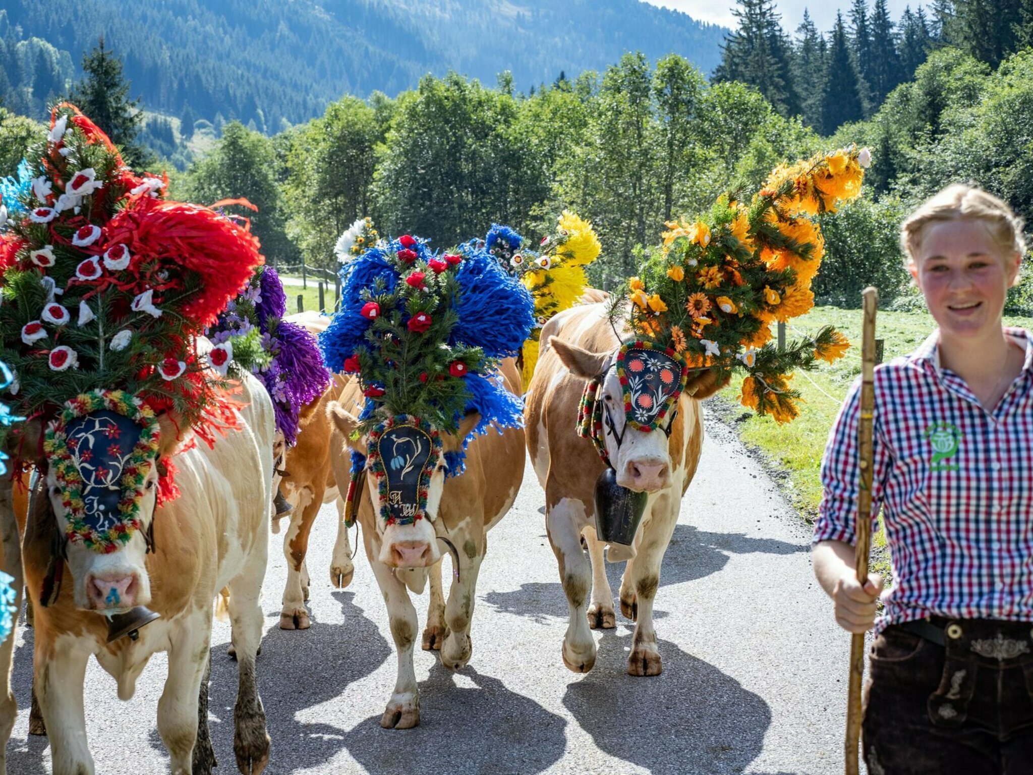 Almabtrieb Wildschönau in Auffach: Traditioneller Almabtrieb in Auffach ...