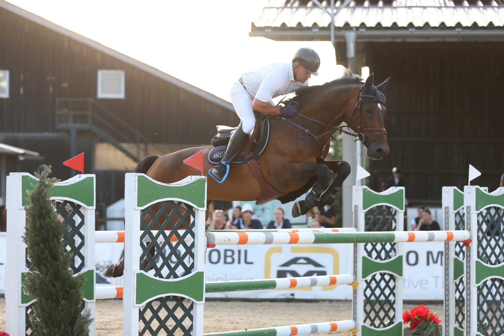 Reitsport: Gelungener Auftakt der Ranshofen Classics - Braunau