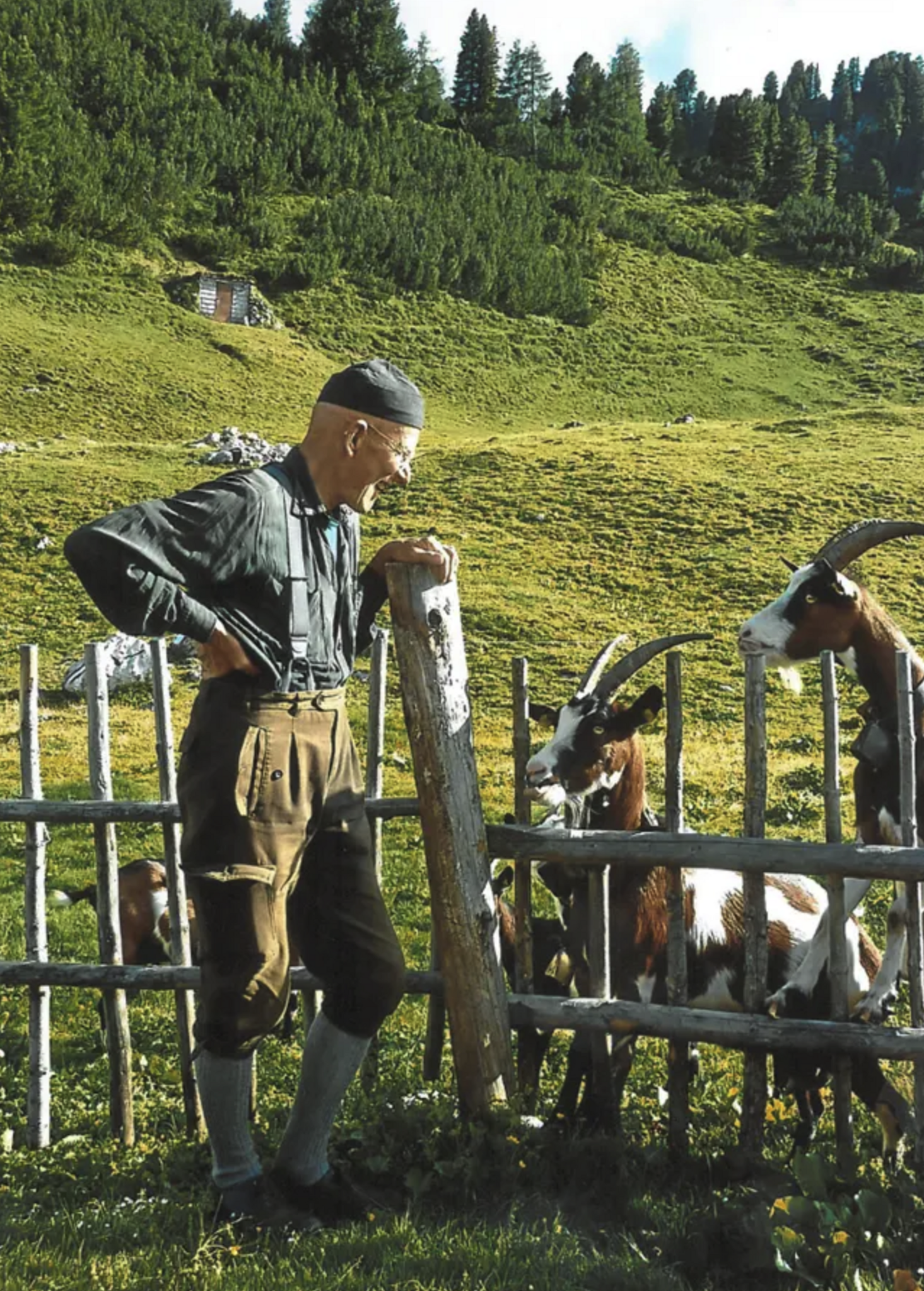 Großsuche wird beendet: Weiter kein Lebenszeichen von Autor Bodo Hell ...