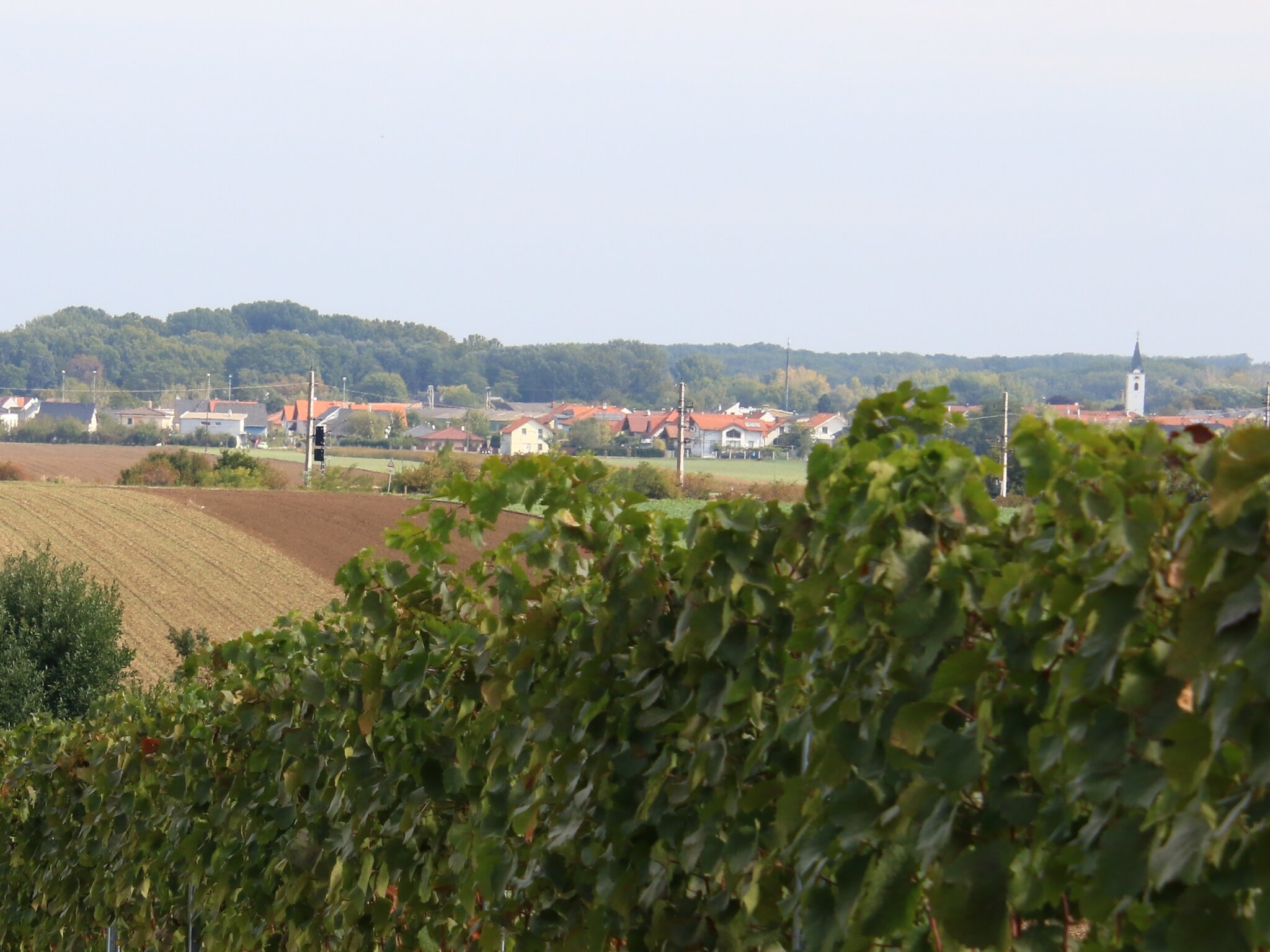 Ortsreportage Gattendorf: Gattendorf ist "Ein Ort zum Wohlfühlen ...