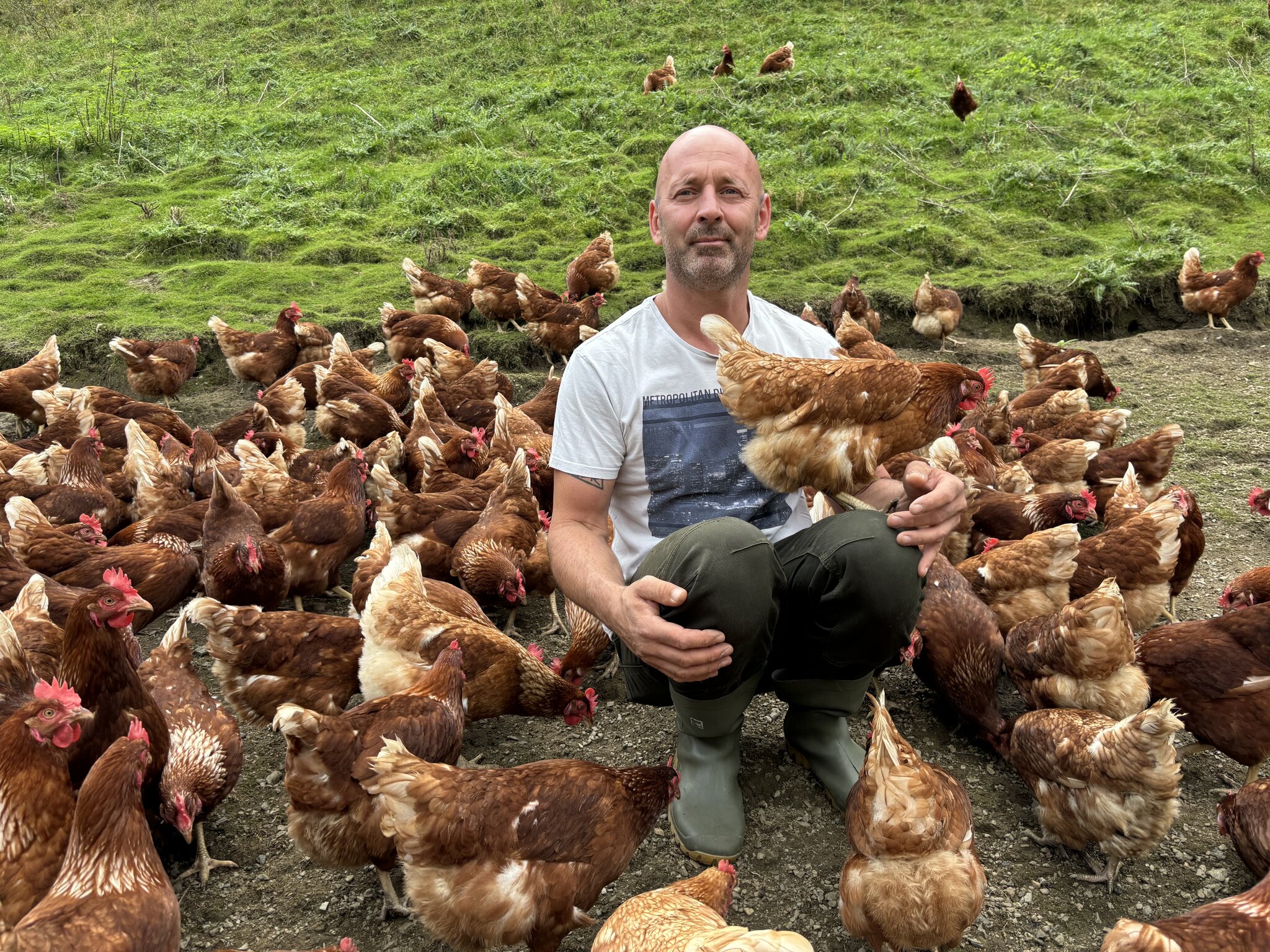Gerhard Steindl aus Stanz: Herr über fast 2.000 Hühner auf dem Hof ...