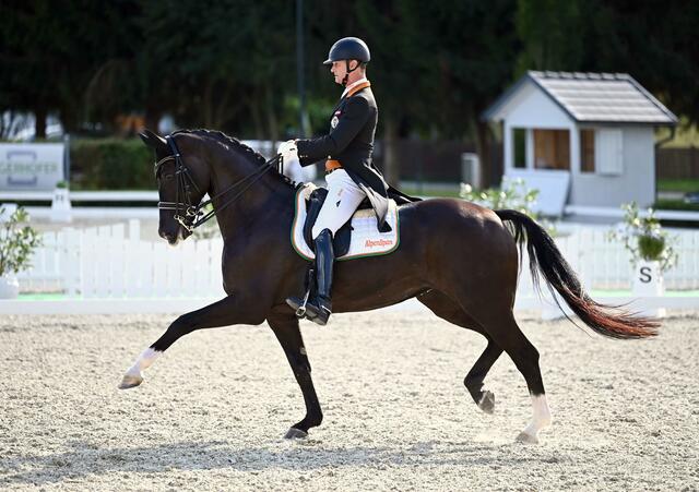 Reitsport Sieggraben: Peter Gmoser erneut österreichischer ...