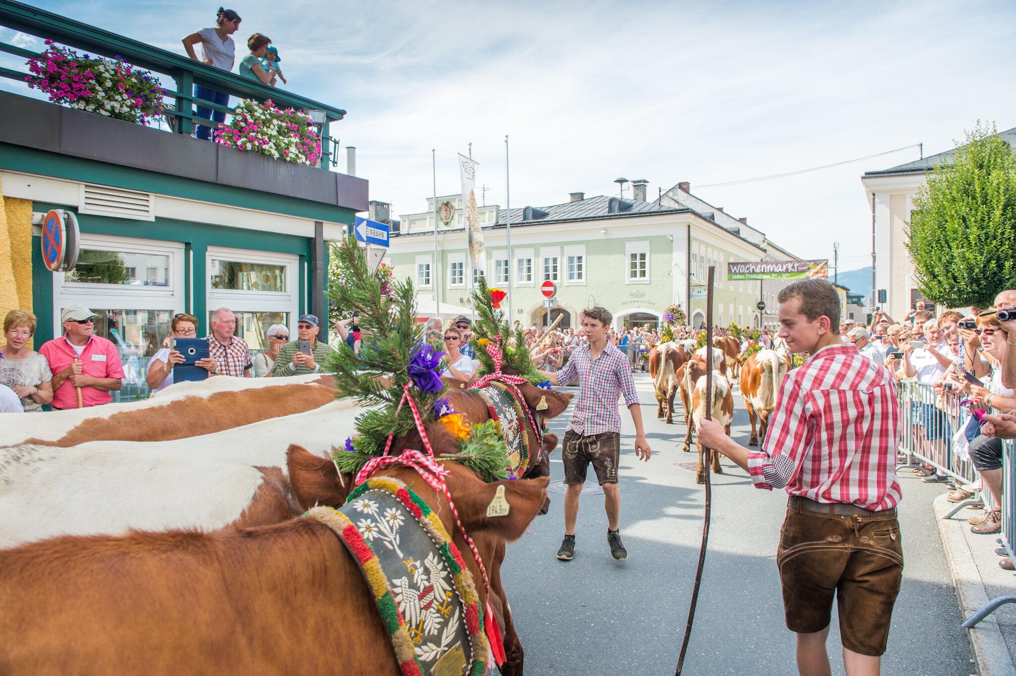 Schlechte Wetterprognose fürs Wochenende: Almabtrieb in Radstadt abgesagt - Pongau