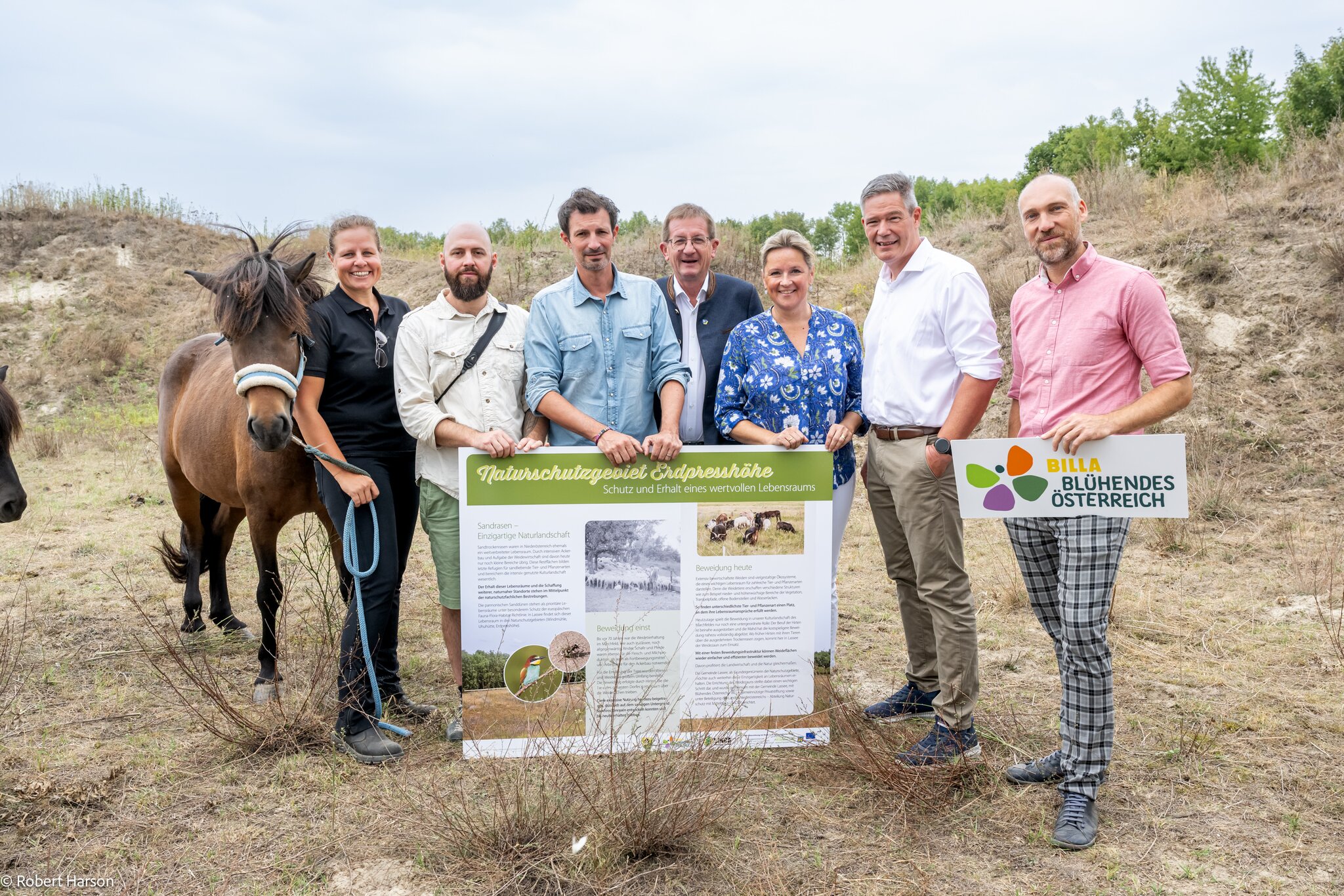 Bedrohtes Naturerbe: Islandpferde pflegen Sanddünen in Lassee - Gänserndorf