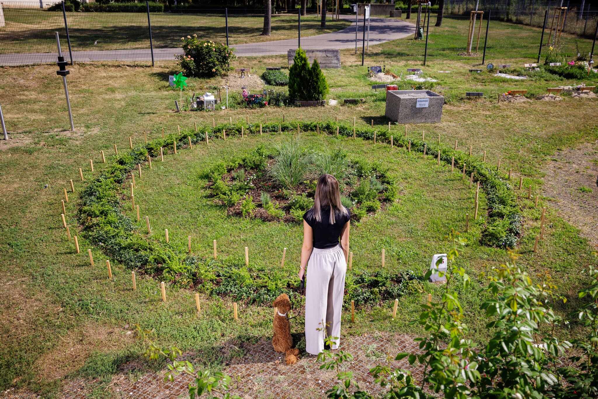 Friedhof Simmering: Tiere können nun in Naturgräbern beigesetzt werden ...
