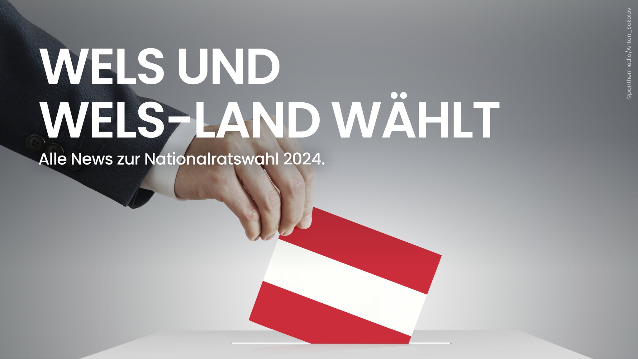 Aus Wels & Wels-Land: Sie treten aus der Region zur Nationalratswahl an ...