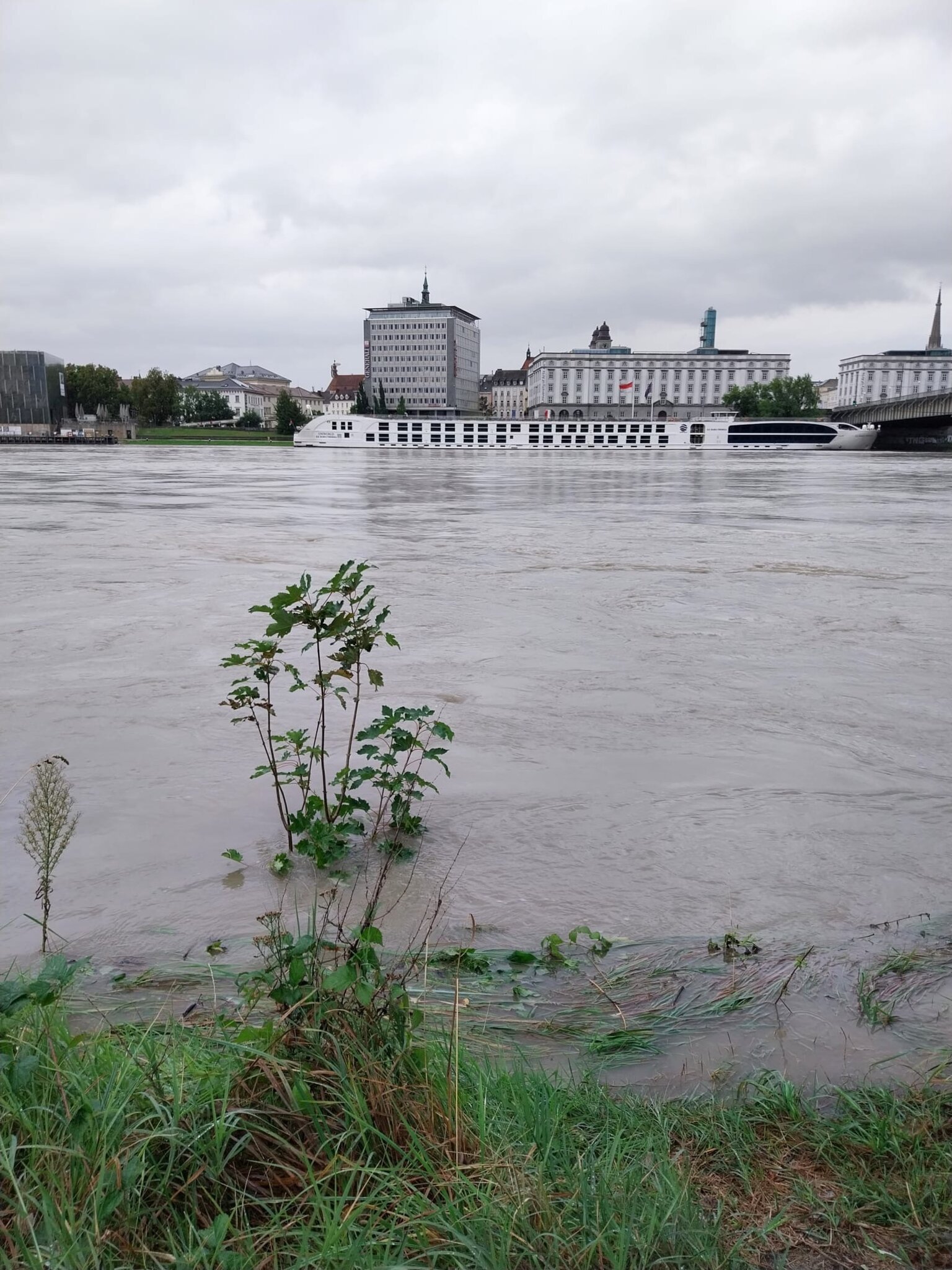 Bildergalerie: So sieht die Hochwassersituation aktuell in Linz-Urfahr ...