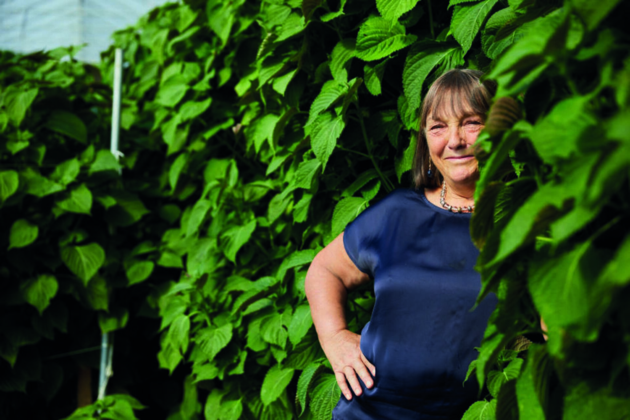 EU-Bio Landwirtin des Jahres: Reinhild Frech-Emmelmann ausgezeichnet ...