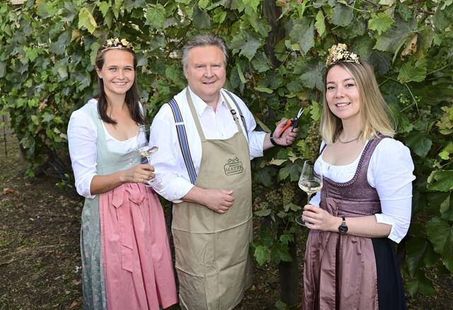 Weinjahr 2024: Bürgermeister Ludwig hilft bei Weinlese am ...