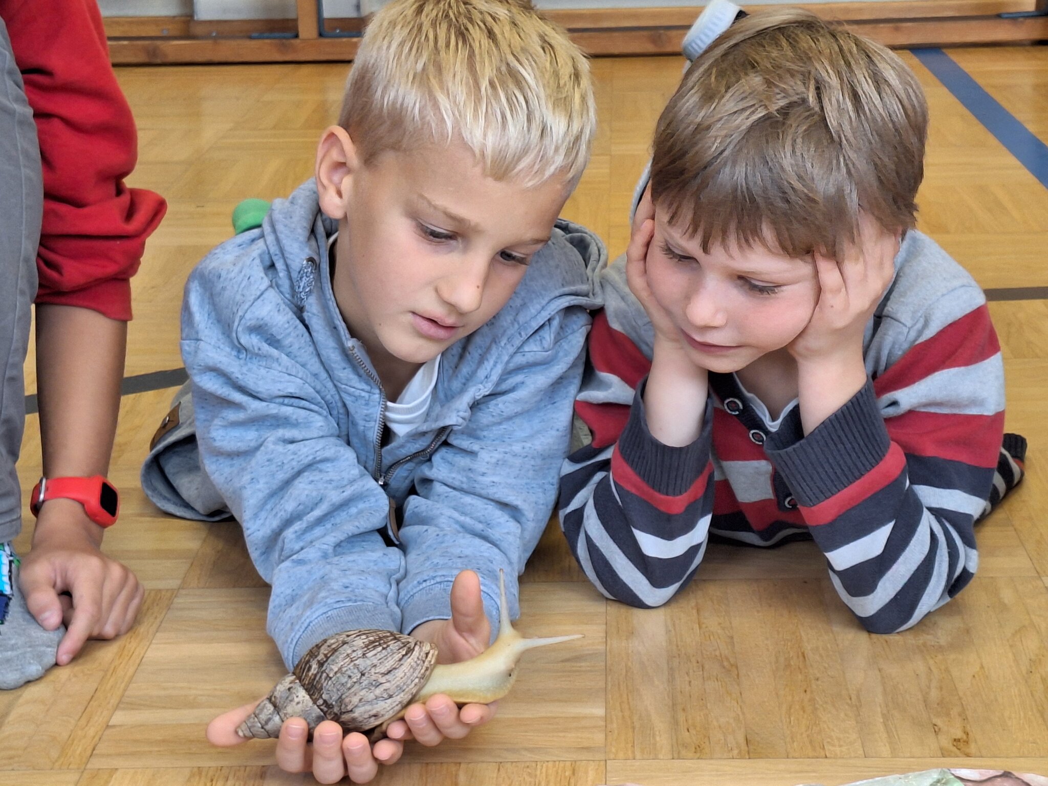 Welttierschutztag: Schnecken zu Gast in der Volksschule Pollham ...