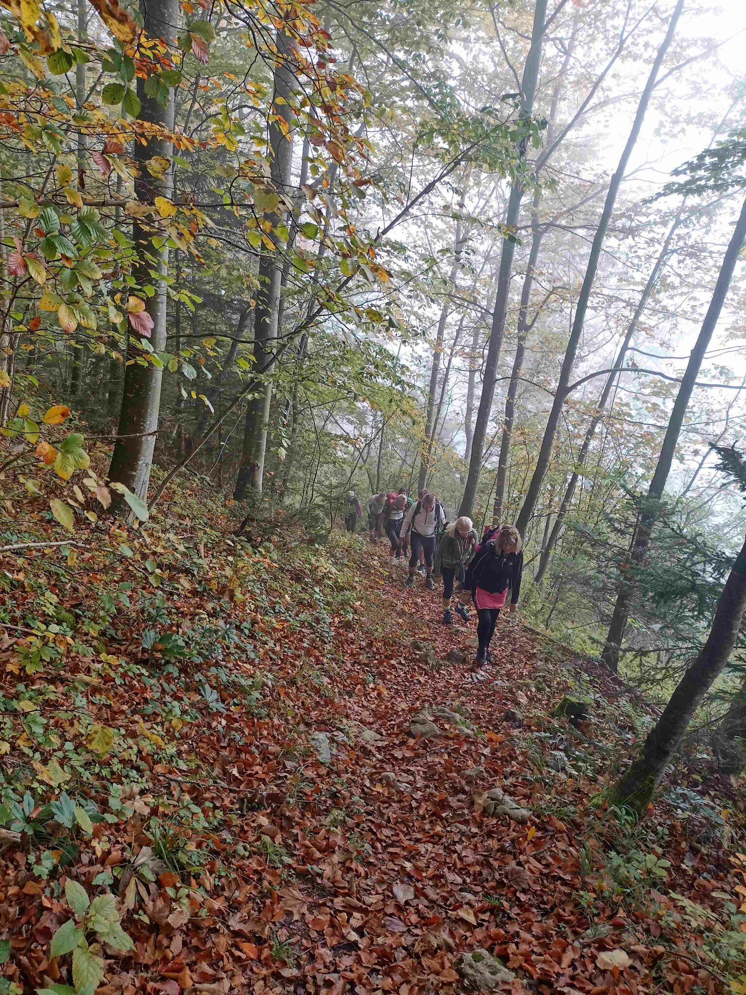 Naturfreunde Enns: Herbstliche Bike- & Hike-Tour zum Nixloch - Enns