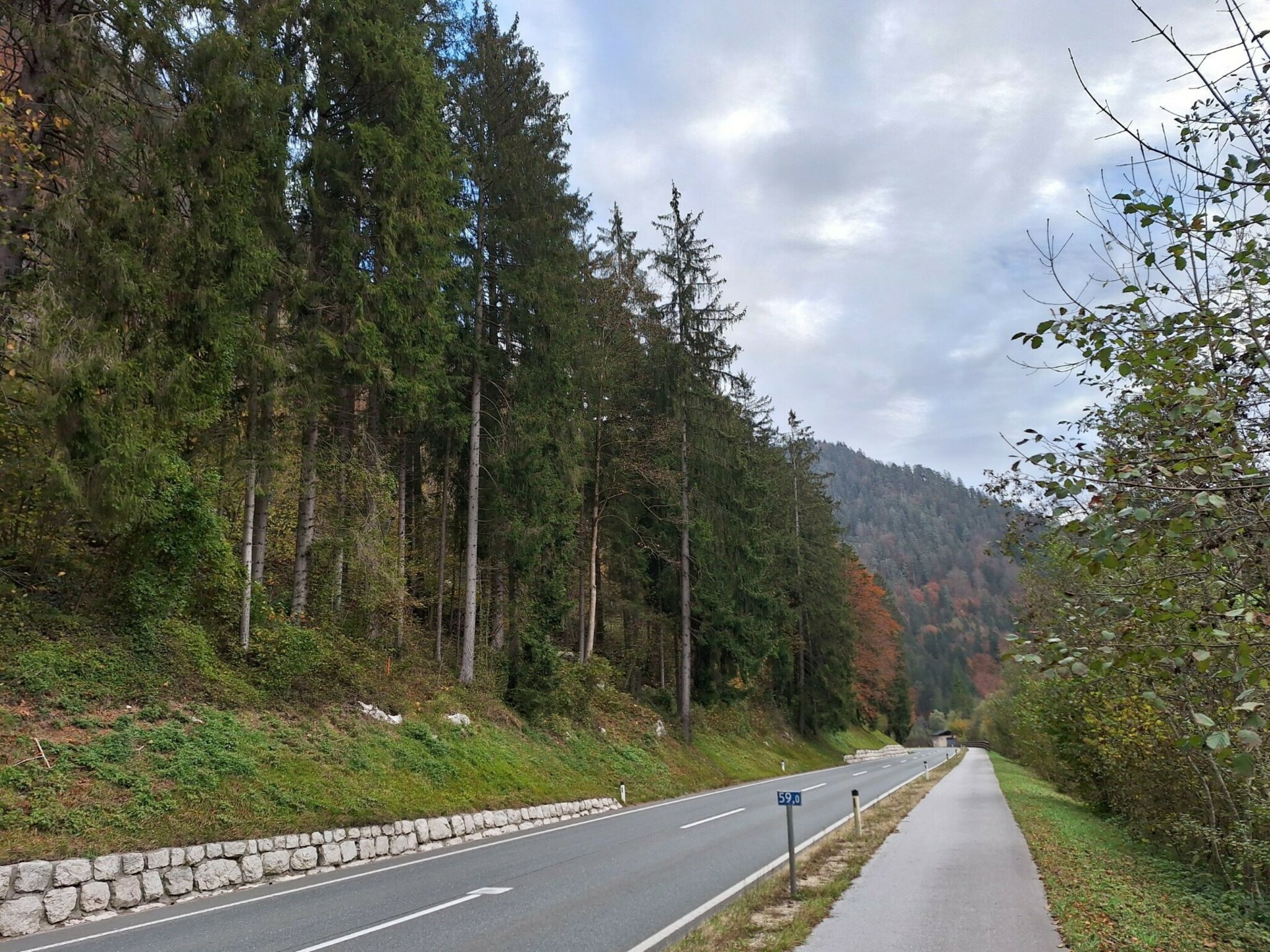 Bundesforste: Notwendige Arbeiten entlang der B178 im Gemeindegebiet ...