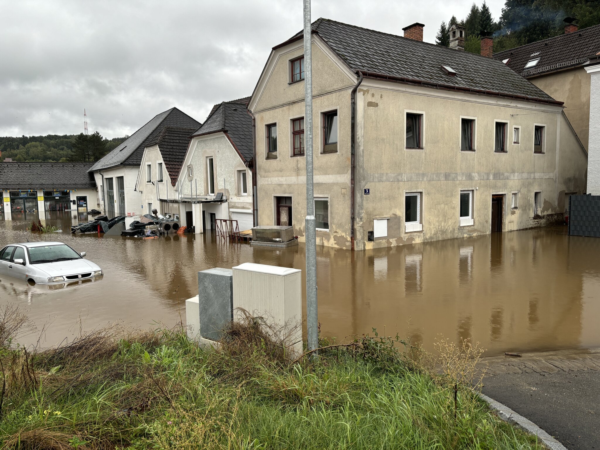 Vokaki, Swiftie oder Talahon: Shortlist für Wort des Jahres 2024 steht