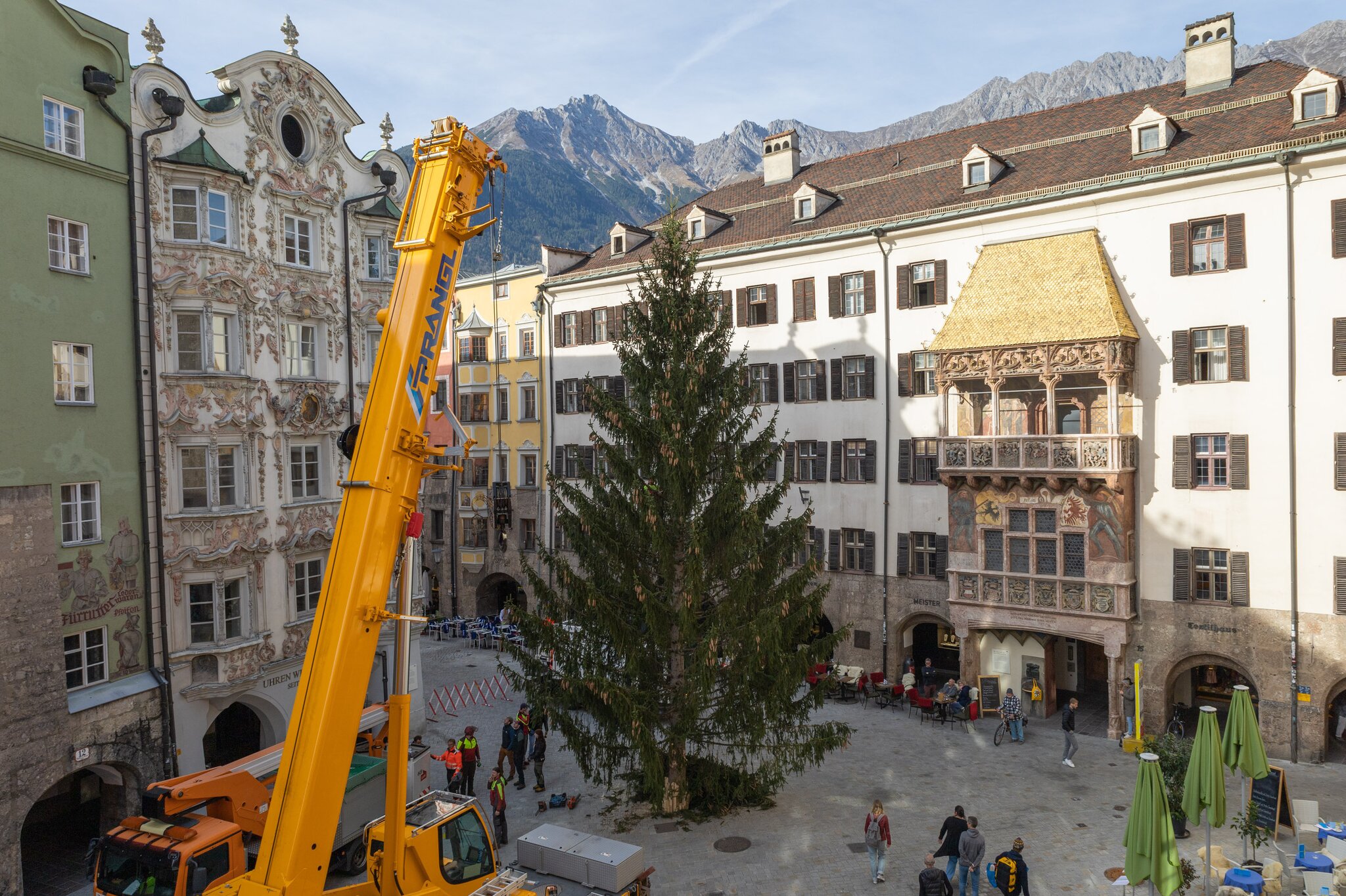 Es weihnachtet sehr…: Der Innsbrucker Christbaum steht! - Innsbruck
