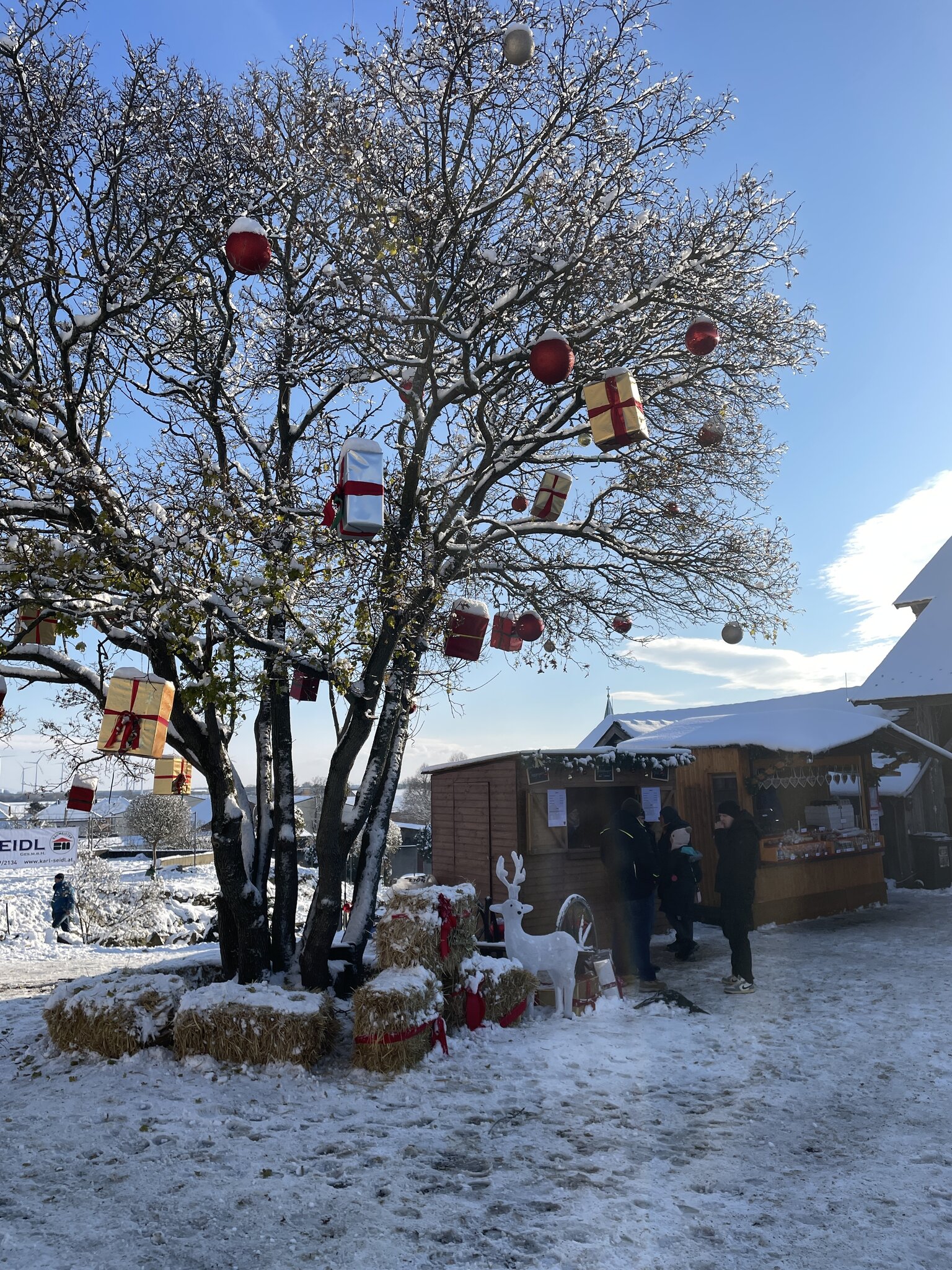 Vorfreude und Tradition: Zauberhafter Advent im Bezirk Gänserndorf - Gänserndorf