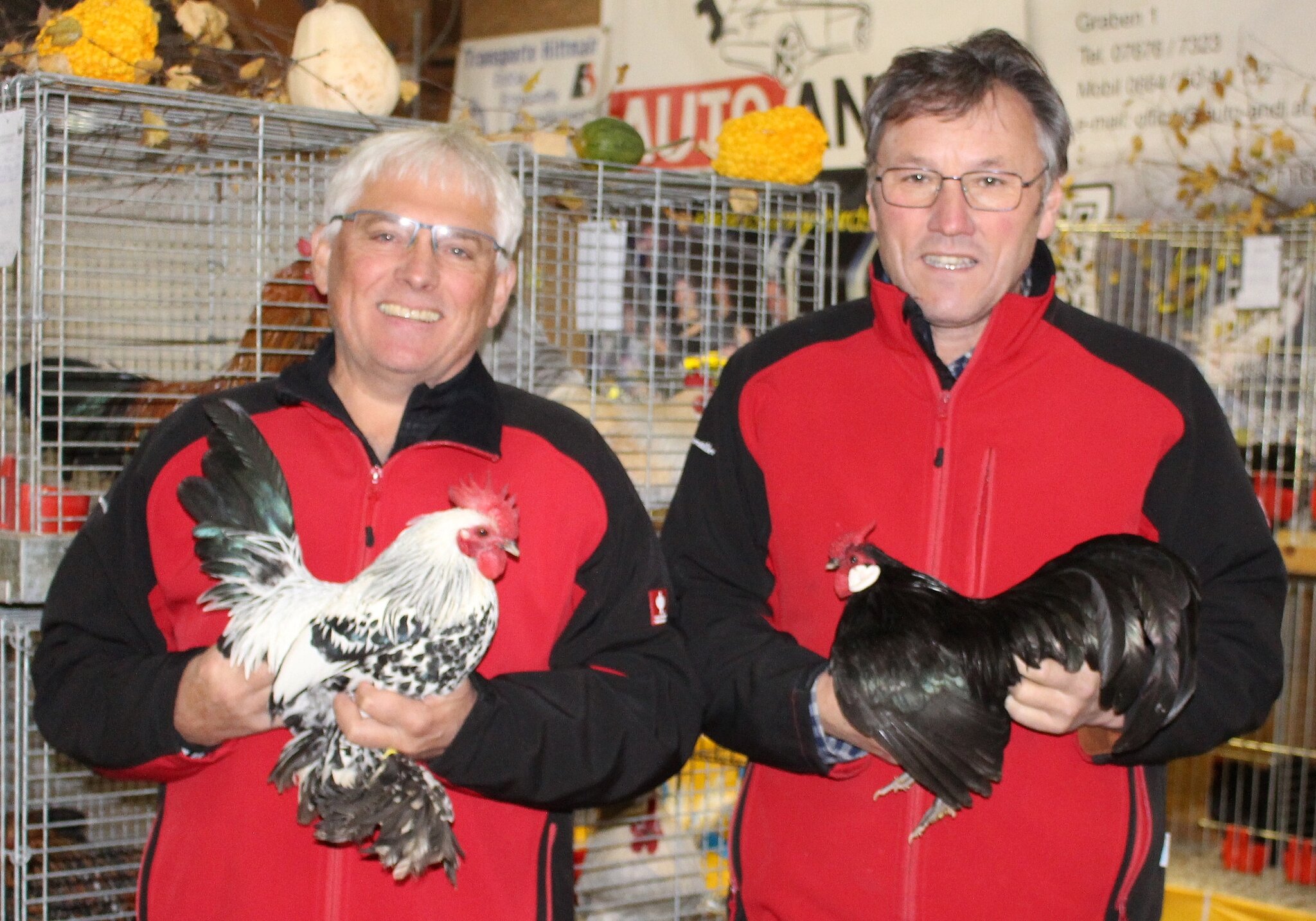 Kleintierzucht in Wolfsegg: Gerhard Strasser hat die schönsten Hühner ...