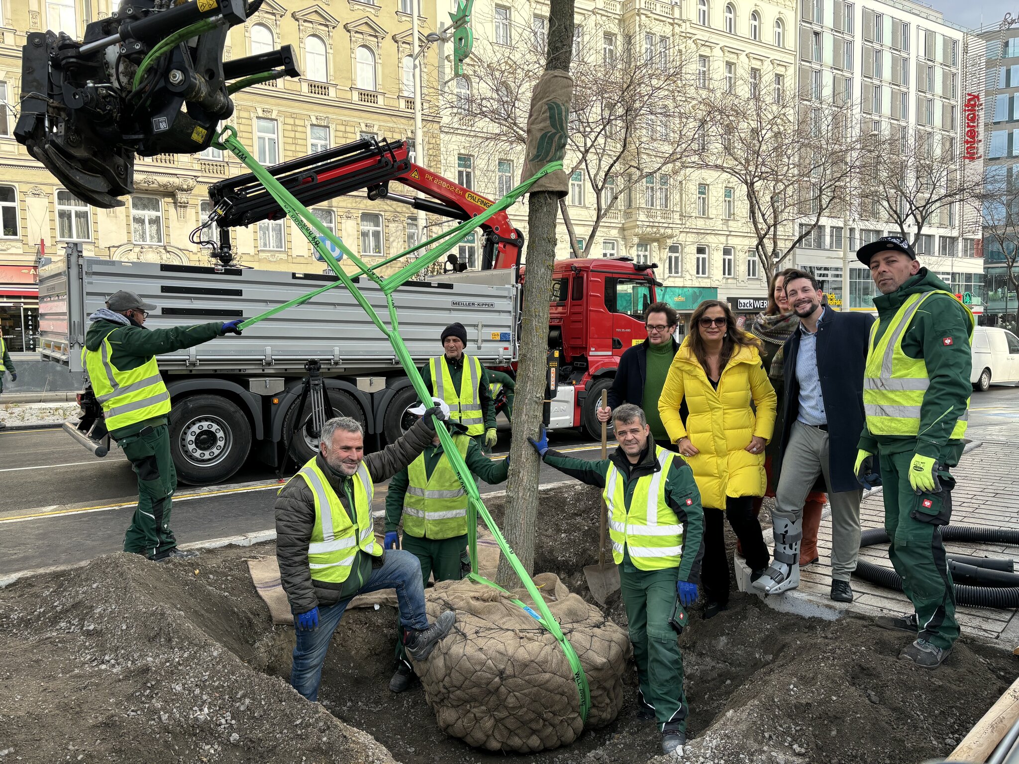Facelift: Baumvielfalt statt "Stangenwald" am Christian-Broda-Platz ...