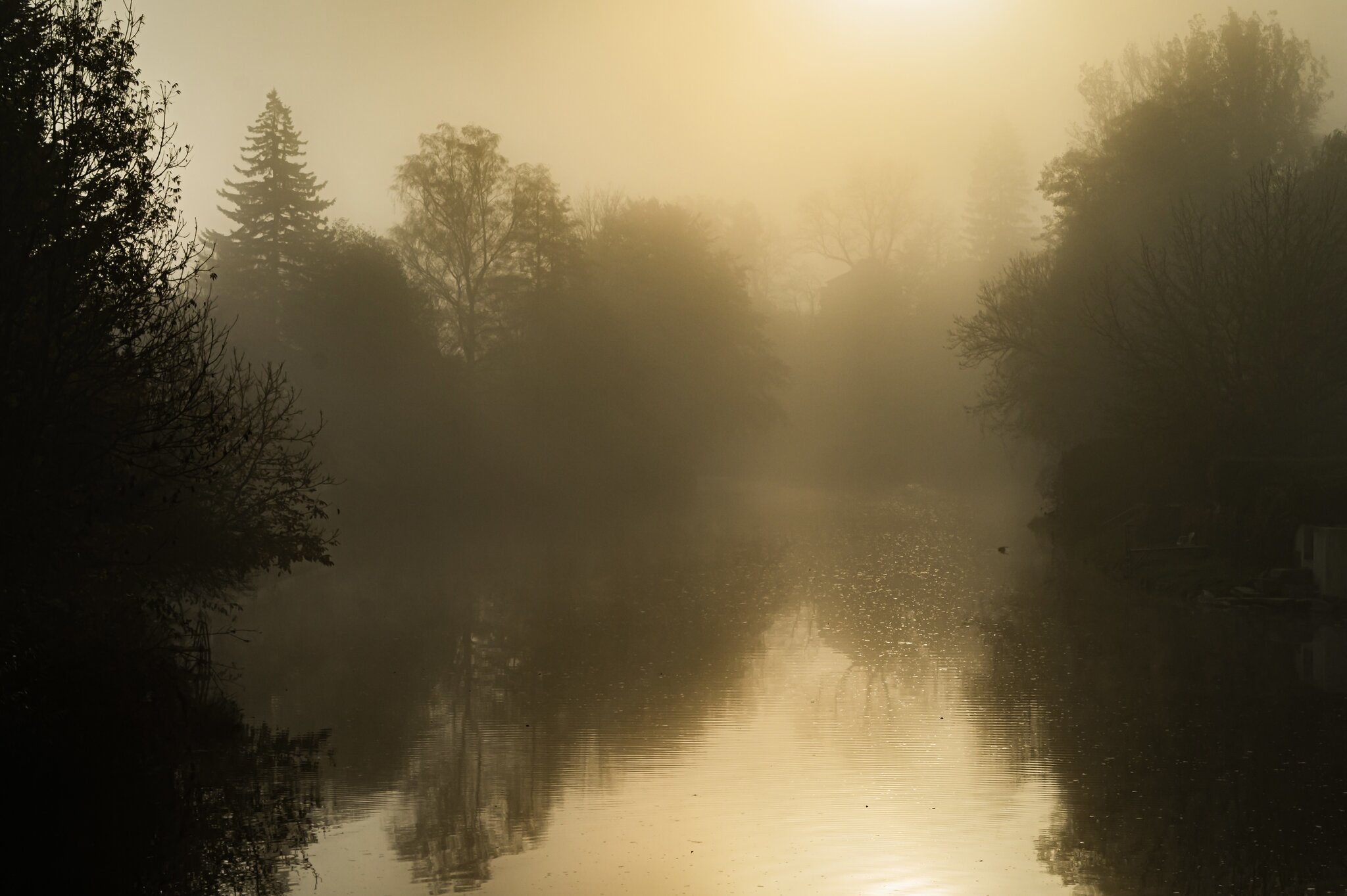 Wetter NÖ: Die neue Woche startet teils mit Nebel und teils mit Sonne ...