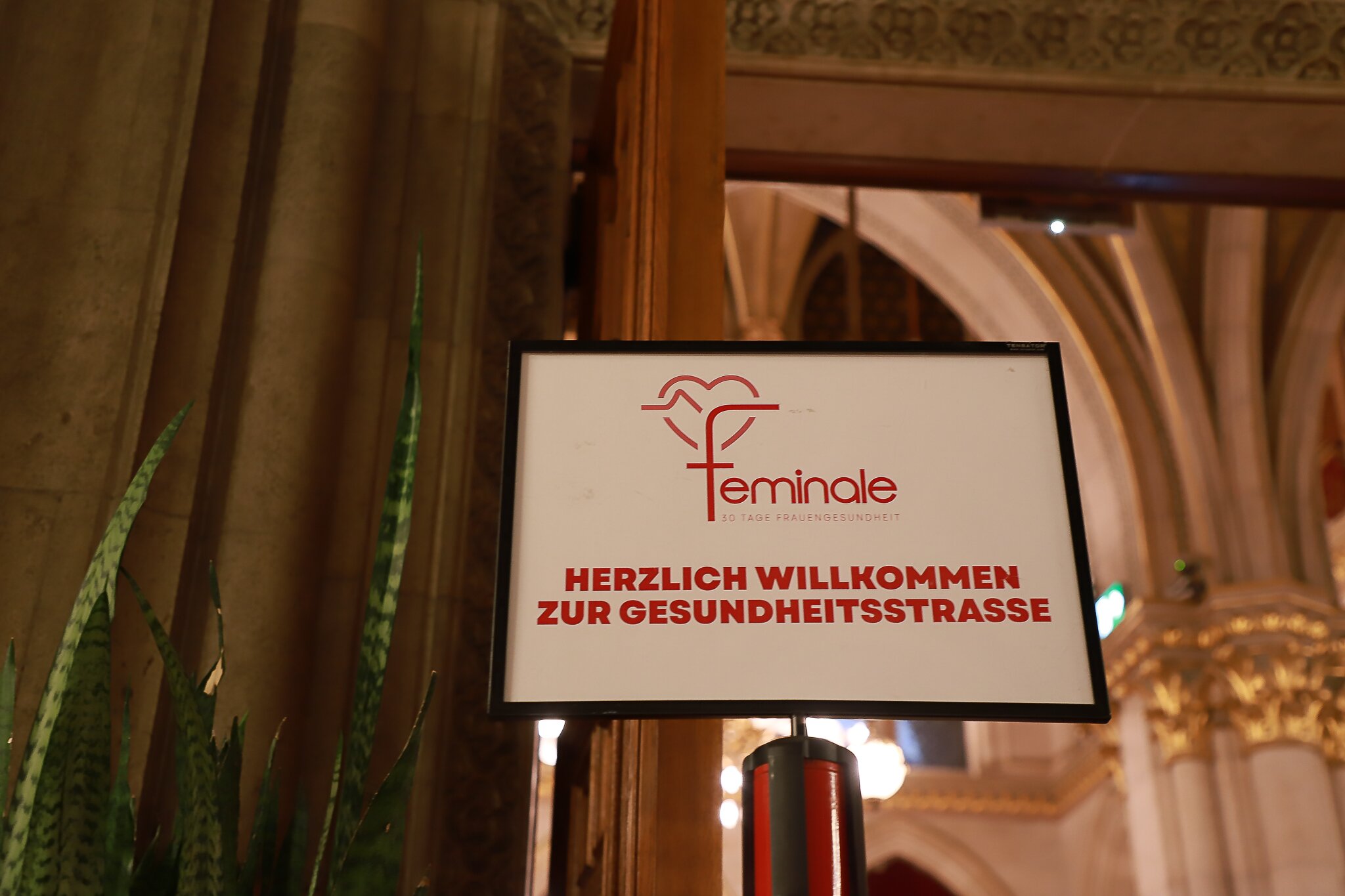 Feminale 30 Tage Frauengesundheit: Frauengesundheitsstraße im Rahmen ...