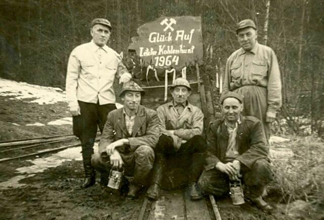 Barbaratag am 4. Dezember: So blühen die Barbarazweige zum Weihnachtsfest