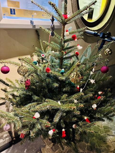 Weihnachten in NÖ 2024: Alles rund um den blau-gelben Christbaum ...