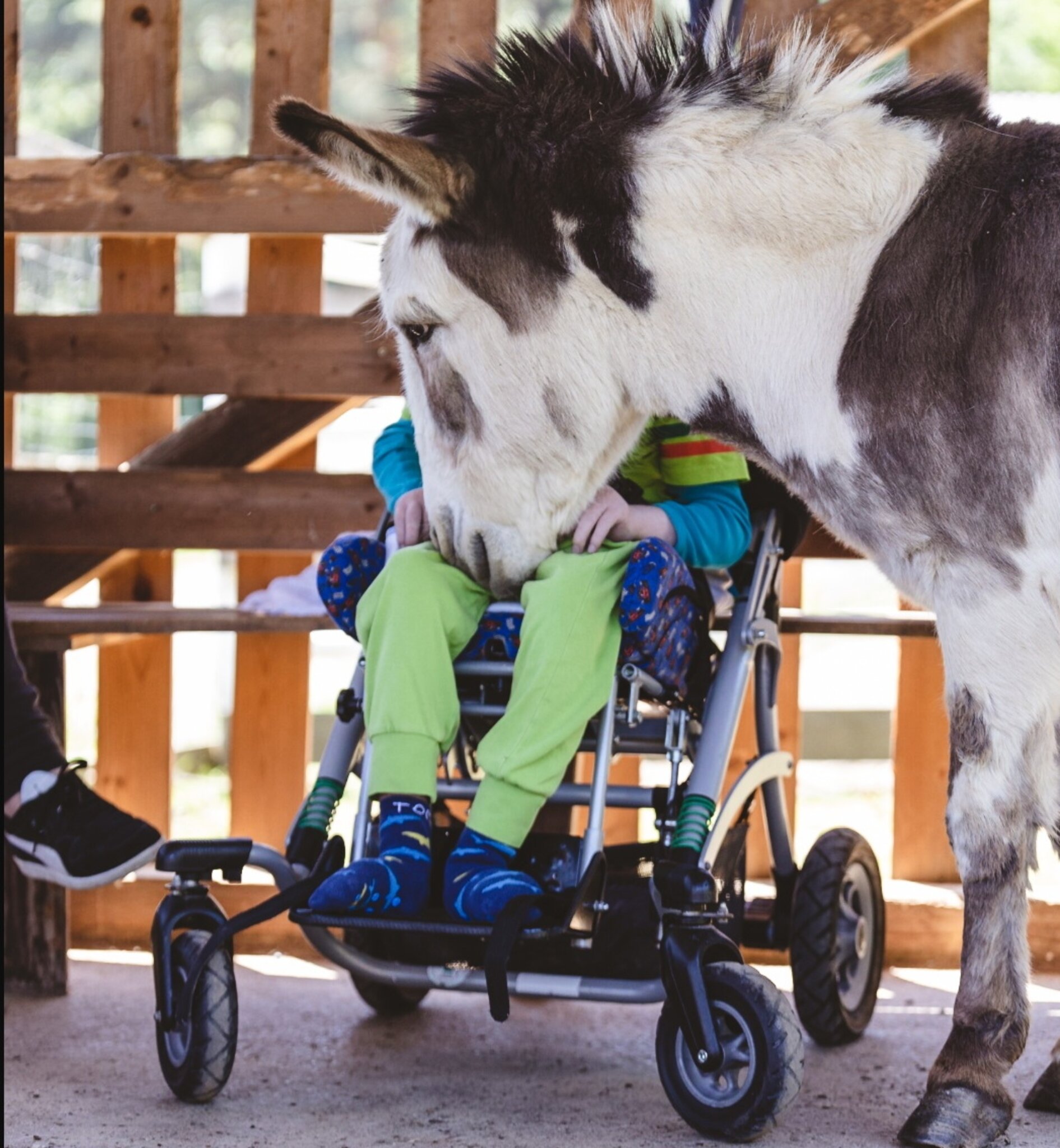 Soziales Engagement: EFM Versicherungsmakler unterstützen Kinderhospiz Sterntalerhof - Oberwart