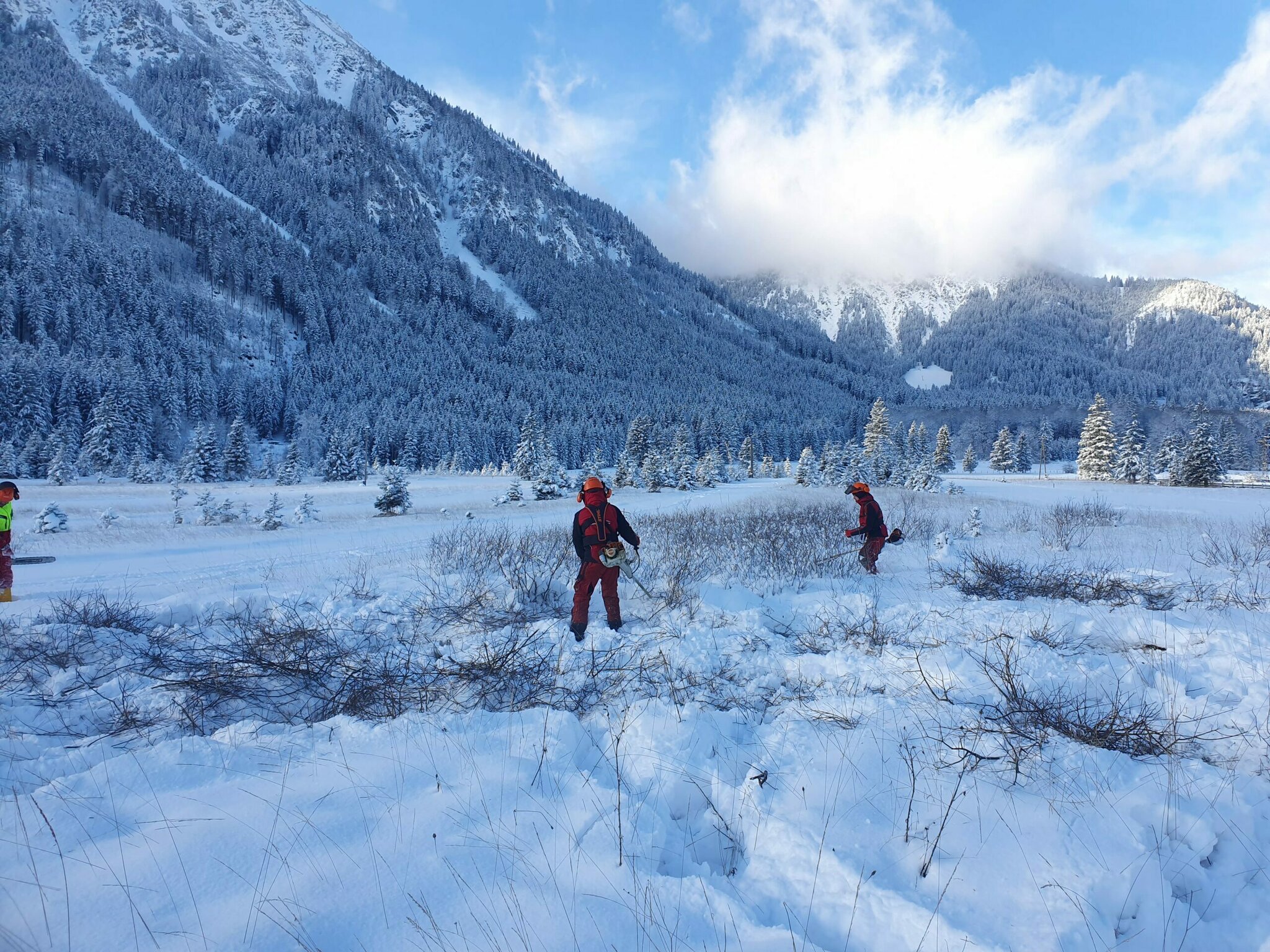 Lebensräume erhalten: Erfolgreiche Moor- und Auenpflege im Naturpark ...