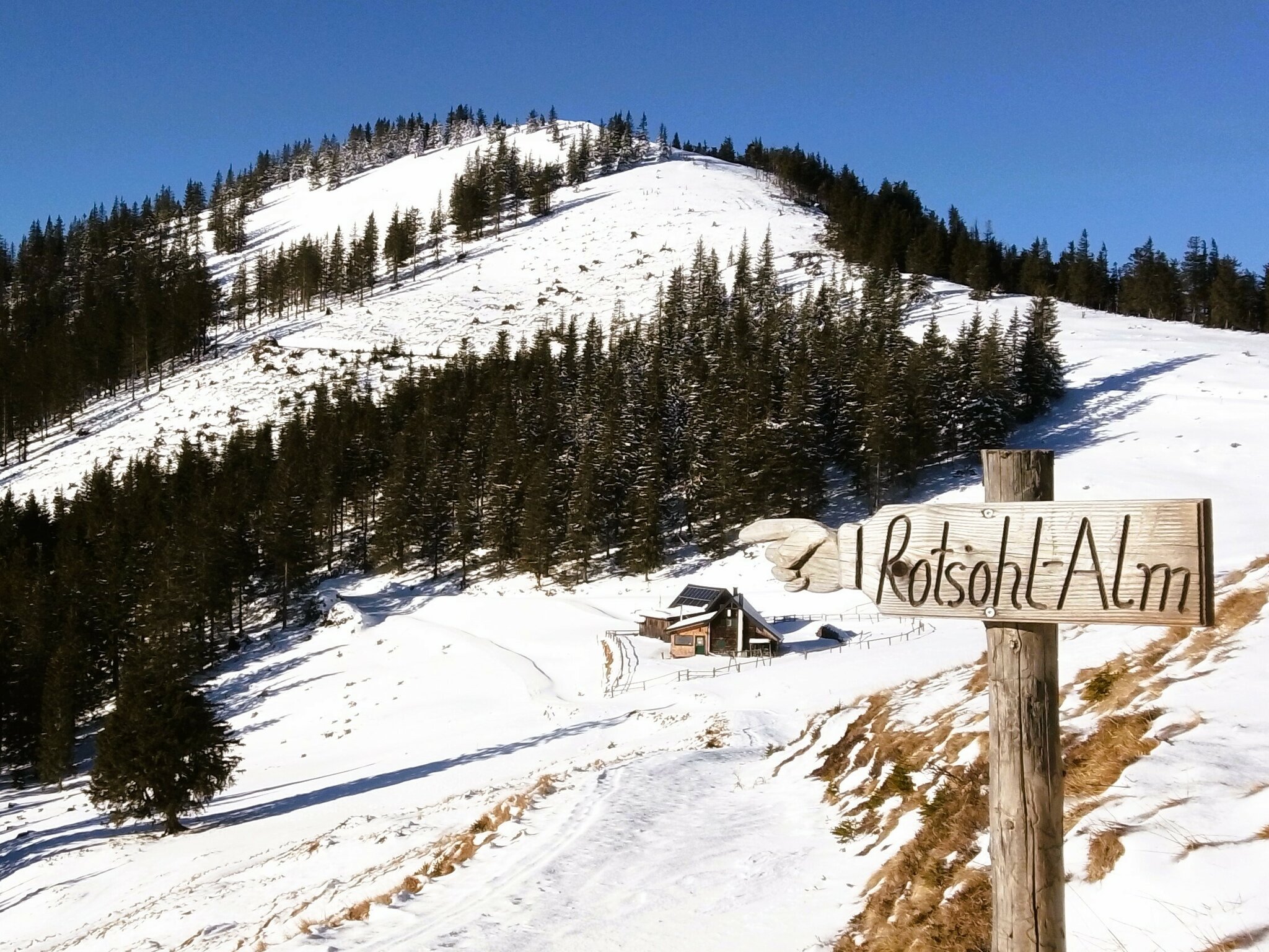 Wandern und Biodiversität: Naturverbunden unterwegs zur Turnauer Alm ...