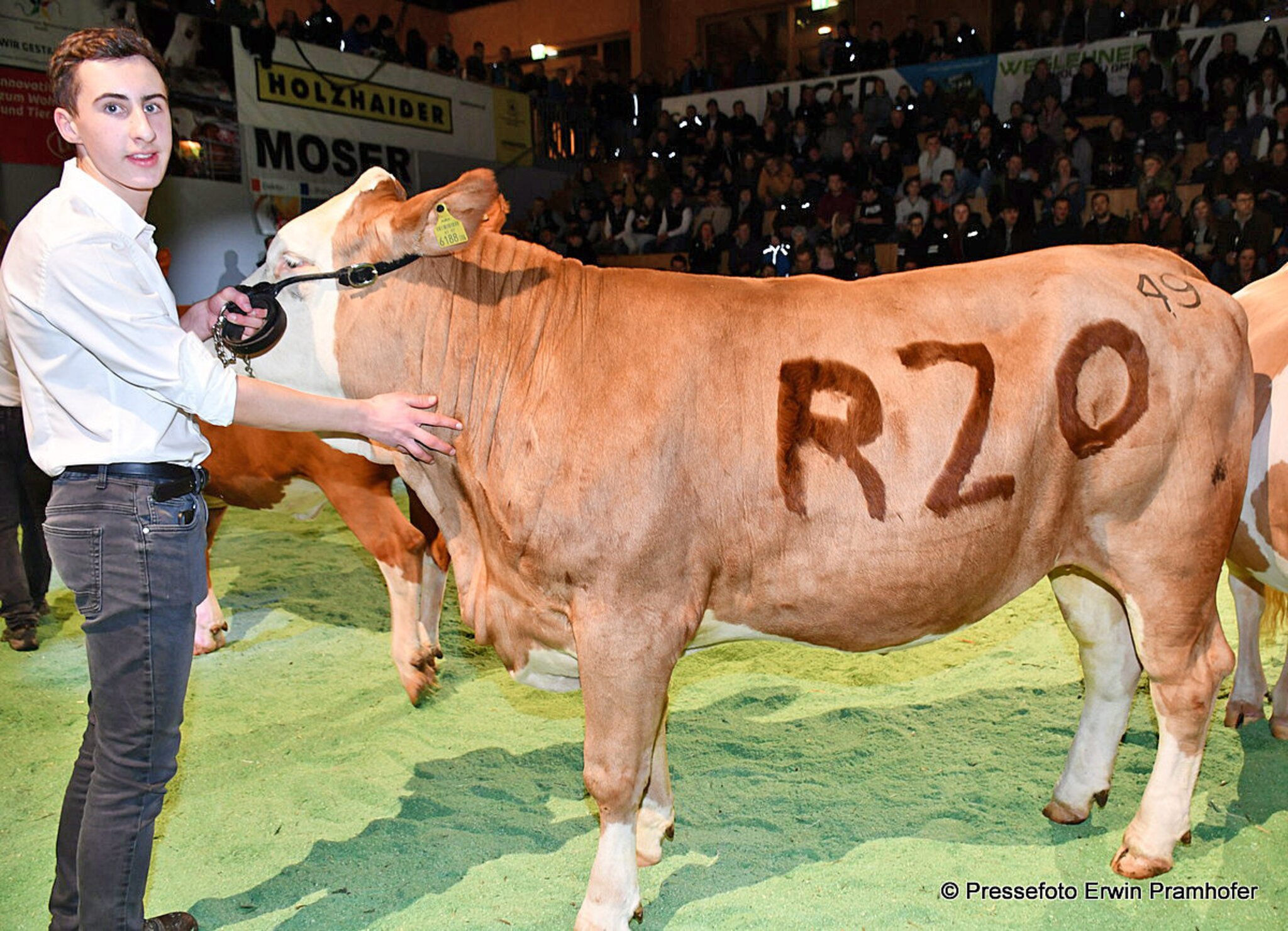 25 Jahre RZO-Jungzüchter: Große Jubiläumsfeier im ...