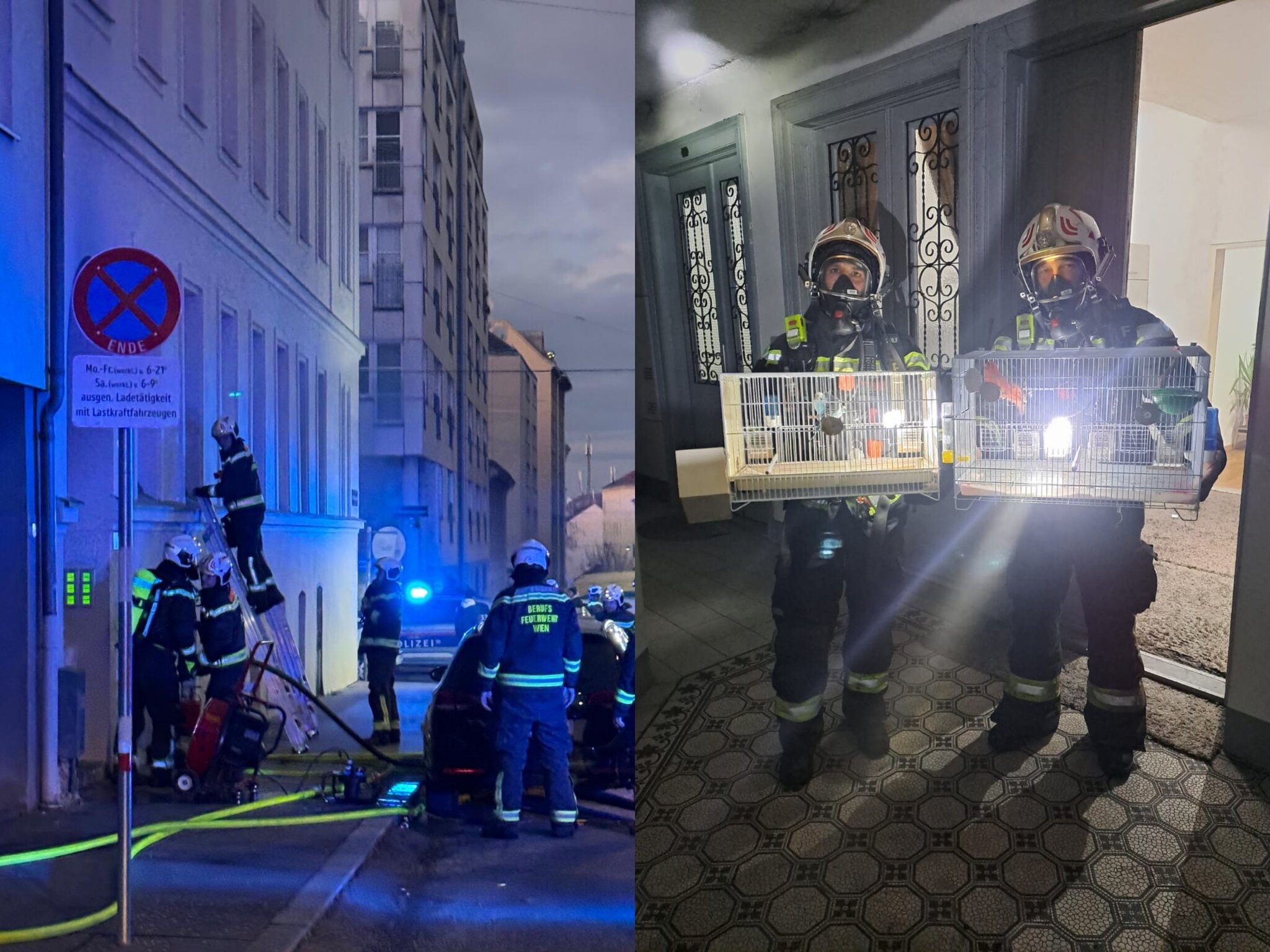Brand in Wien: Vierköpfige Familie und Kleinkind im Spital, Tiere ...