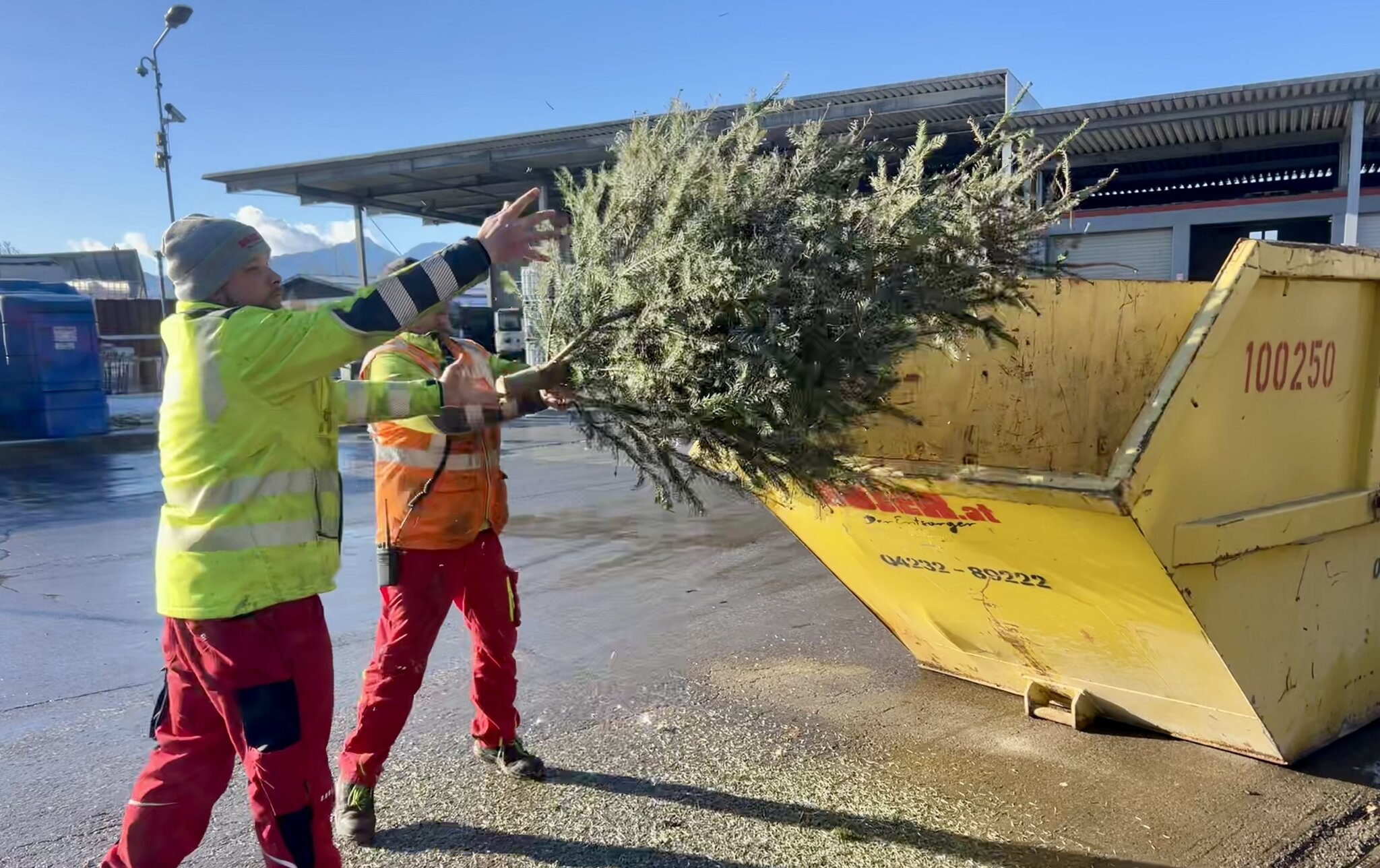 Kühnsdorf: Gojer sammelt wieder Christbäume für einen guten Zweck ...
