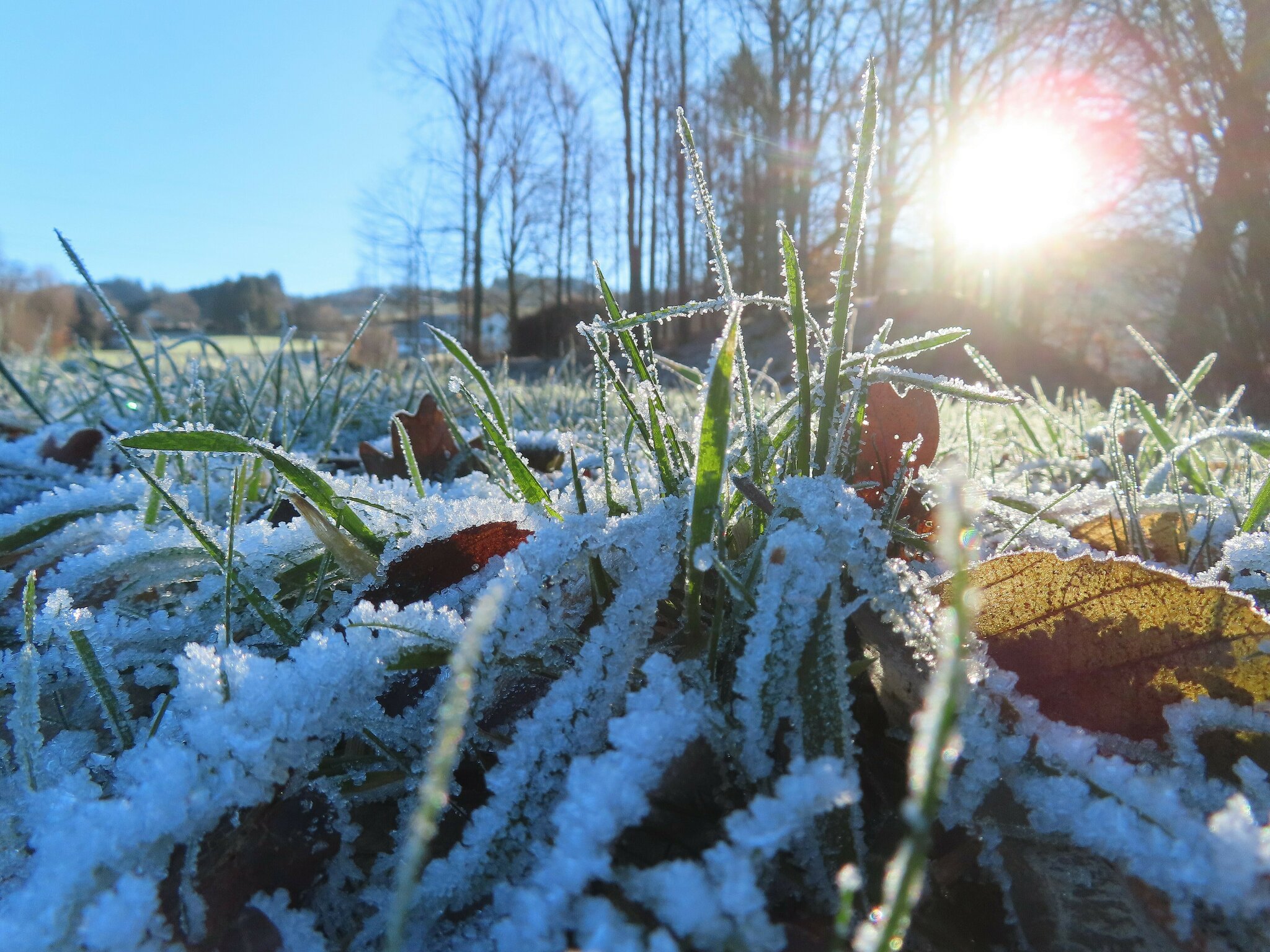 Wetter Niederösterreich: Es erwarten uns Schneeschauer und starker Wind ...