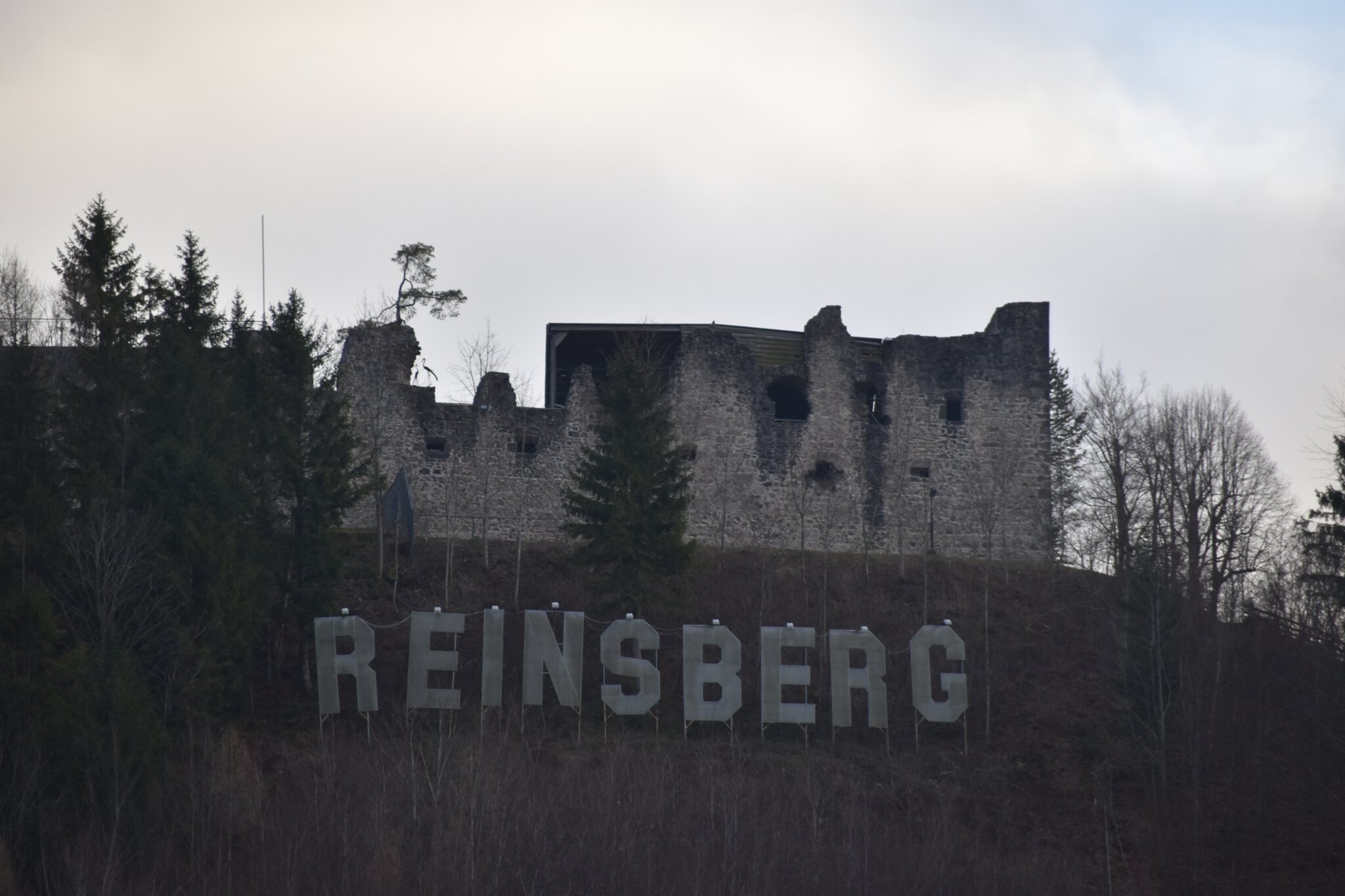 Gemeinderatswahl NÖ 2025: Reinsberg – die Kandidatinnen und Kandidaten ...